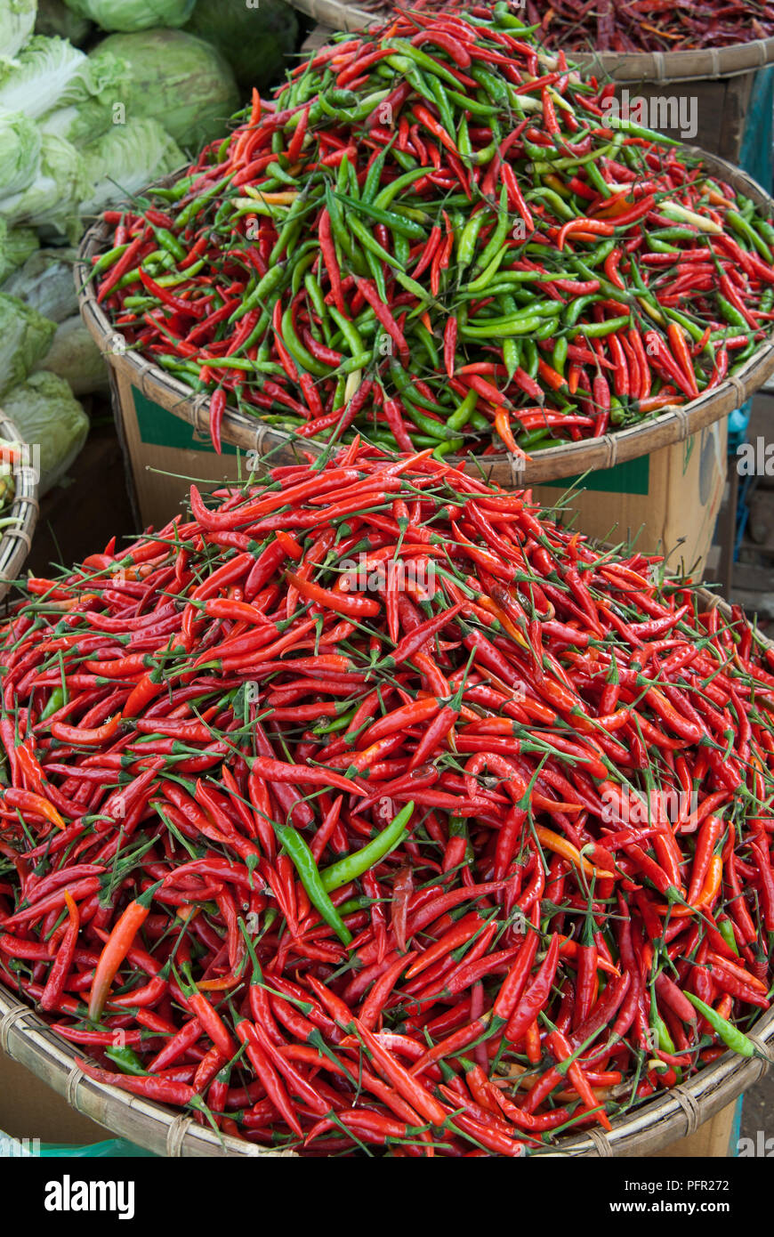 Laos, Southern Laos, Bolaven Plateau, Thateng market, fresh red and ...