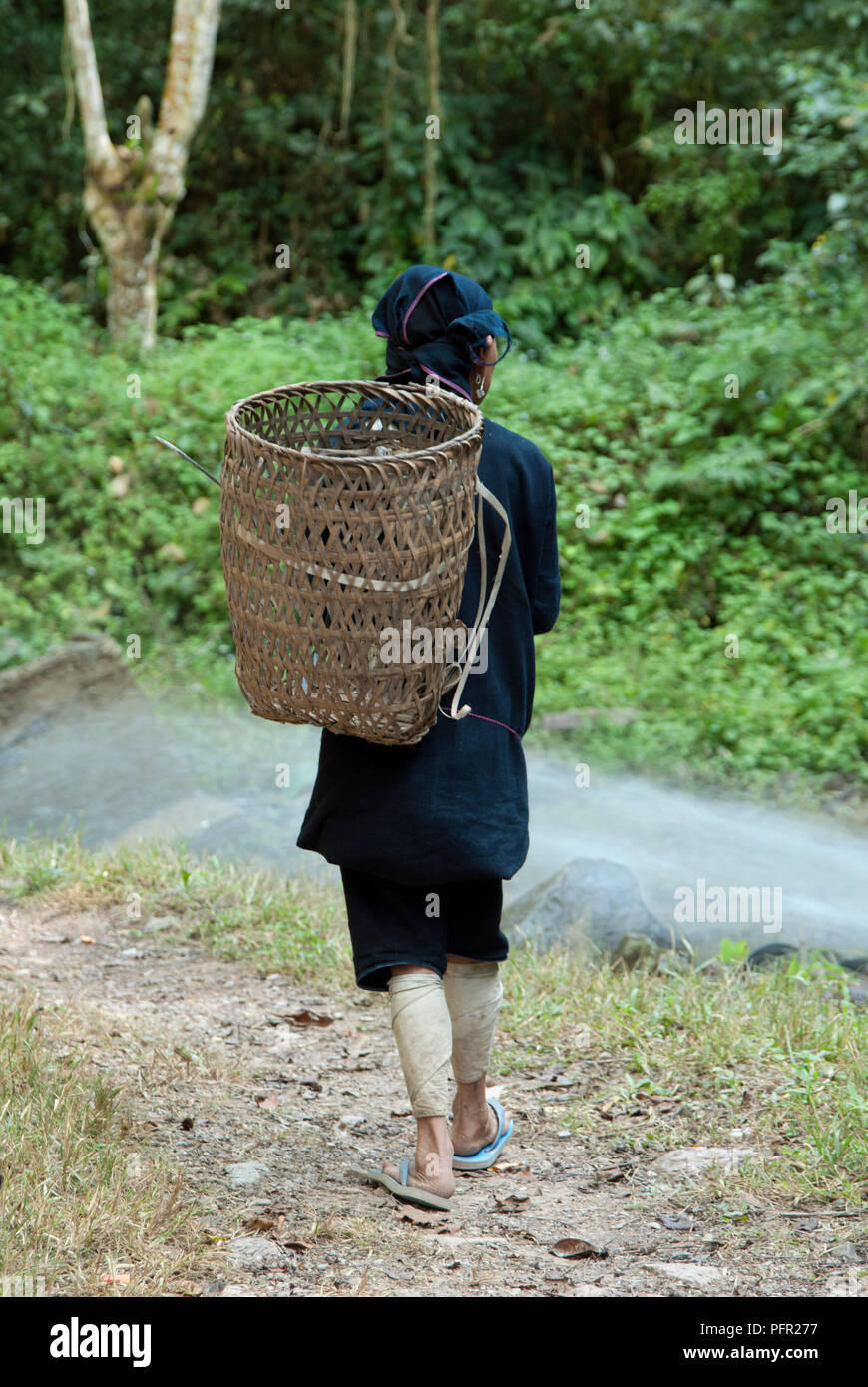 Laos, Northern Laos, Luang Namtha (Luang Nam Tha) Province, Ban Nam Di ...