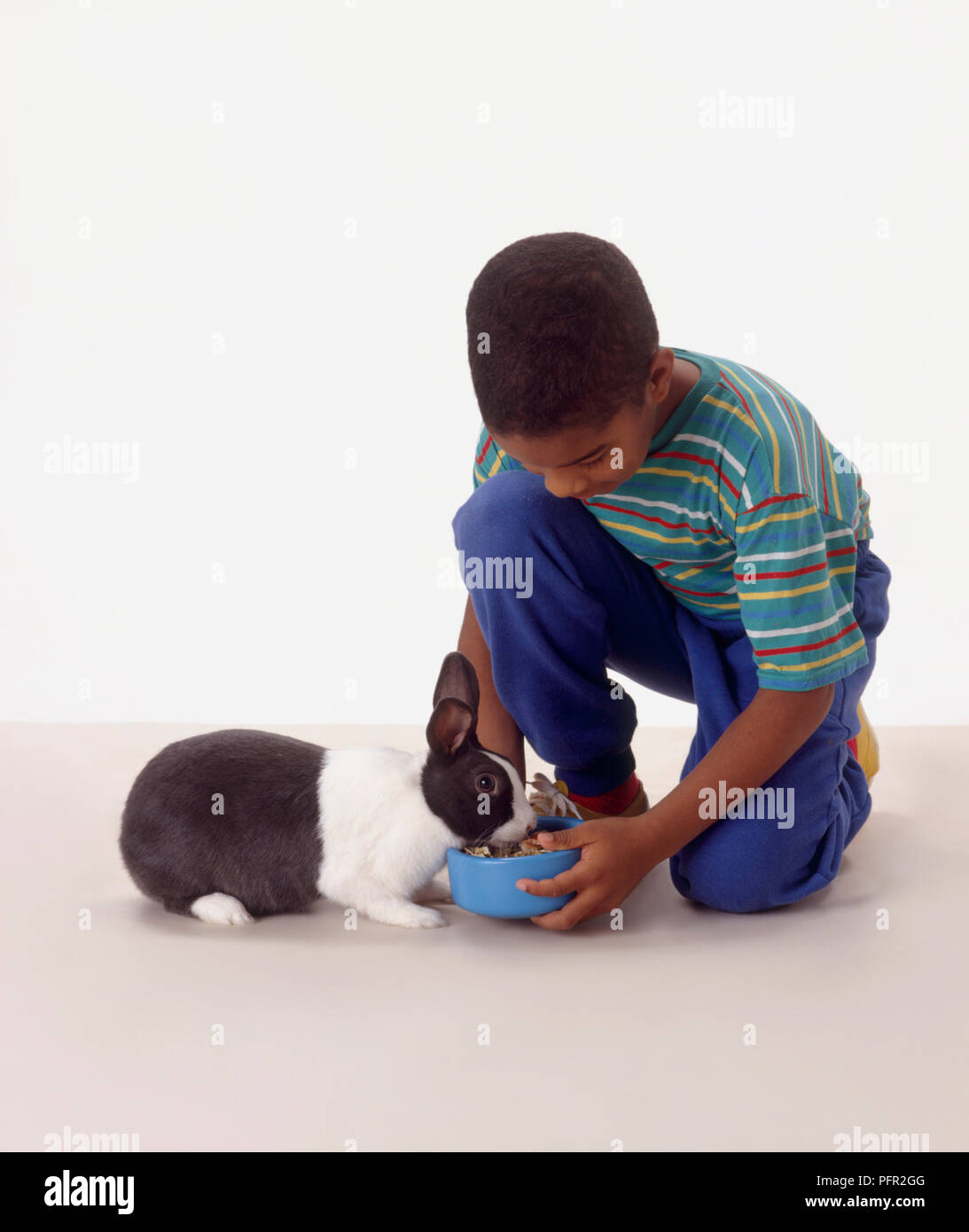 Boy kneeling down to feed black and white rabbit Stock Photo - Alamy