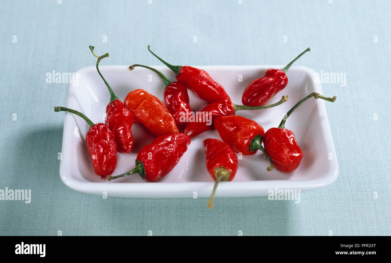 Tabasco chilli peppers Stock Photo - Alamy