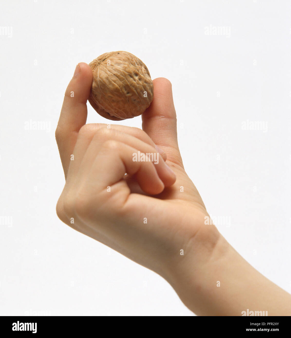 Child holding a walnut between two fingers Stock Photo - Alamy