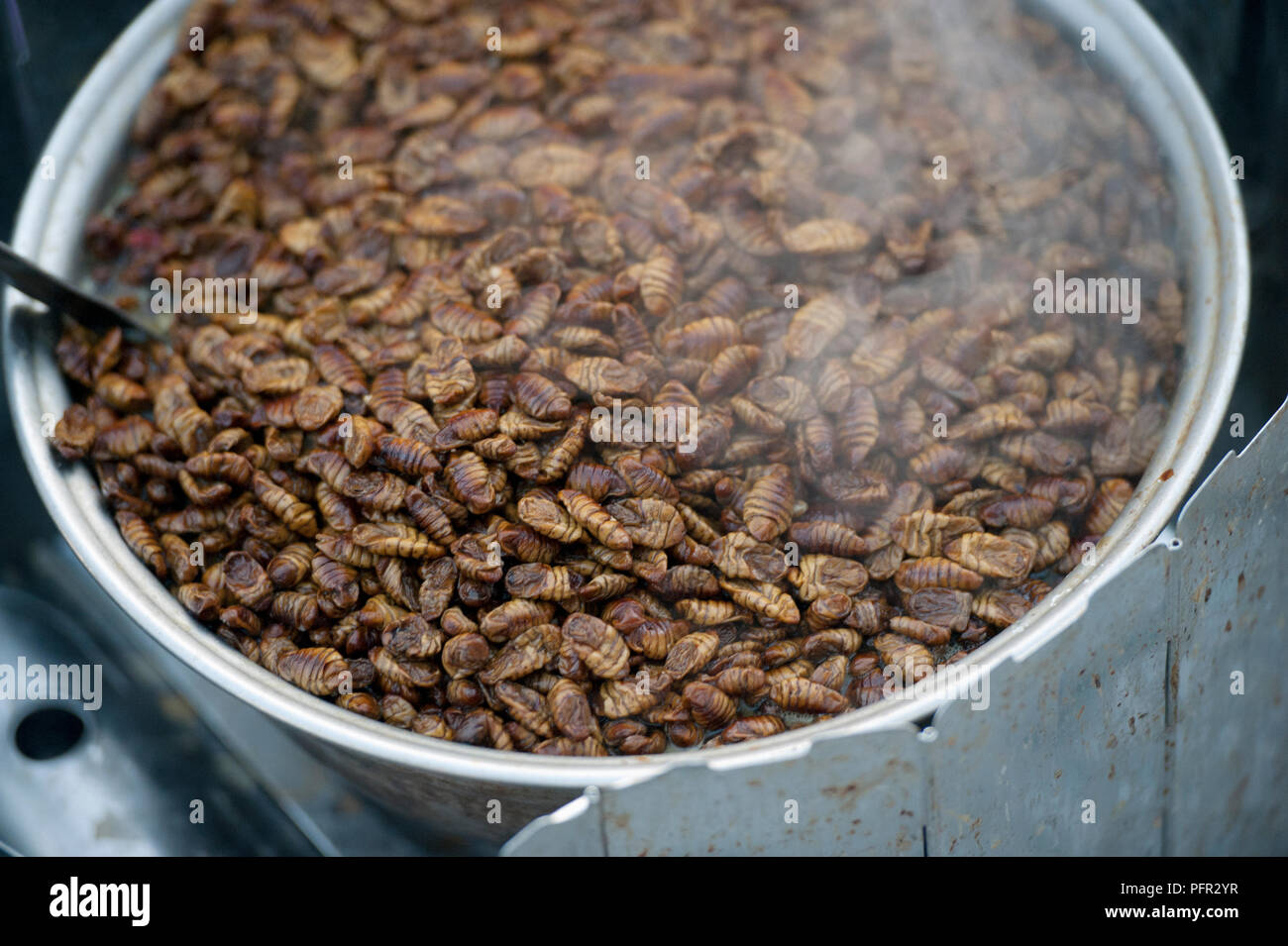 South Korea, Seoul, Namsan, street food, boiled silk worm larvae Stock ...