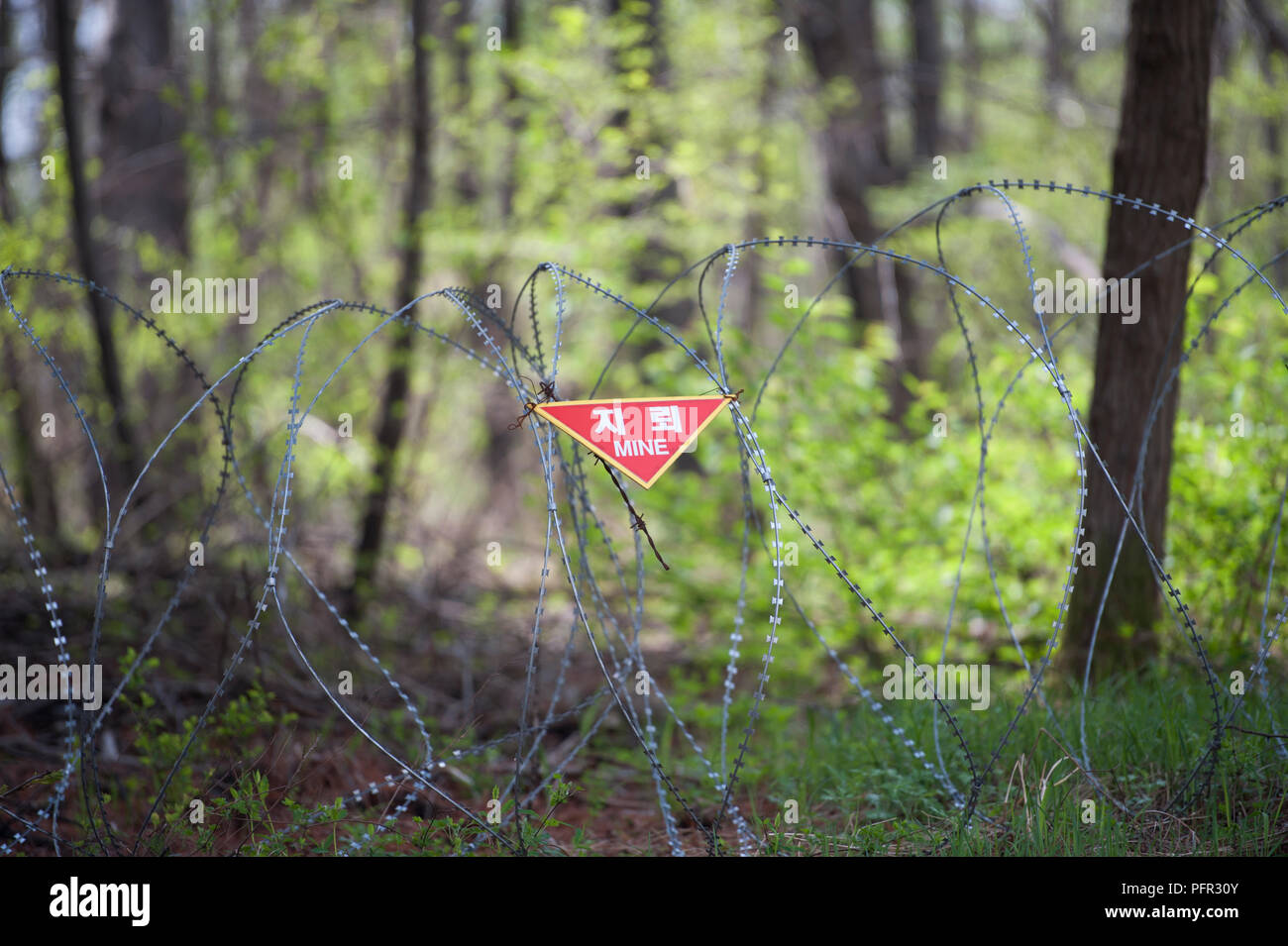 South Korea, Seoul, Demilitarised Zone (DMZ), barbed wire on edge of ...