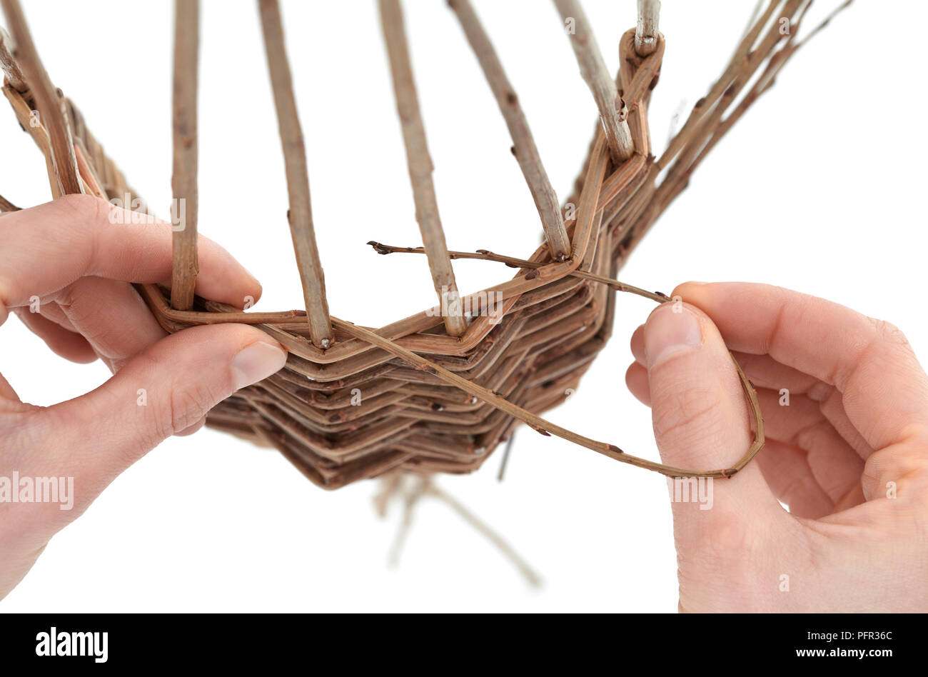 The bending willow hi-res stock photography and images - Alamy