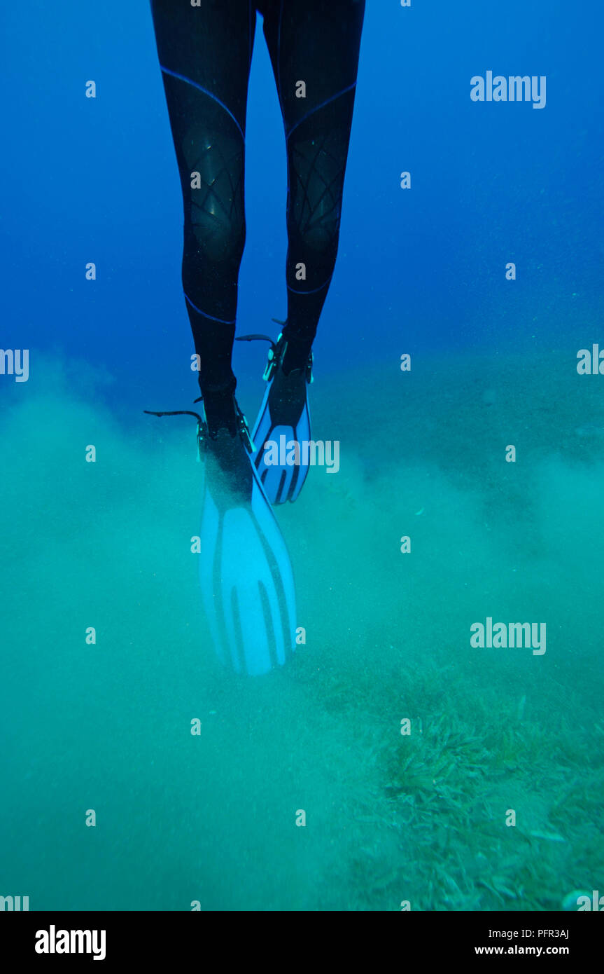 Egypt, Dahab, scuba diver swimming up off seabed covered in seaweed ...