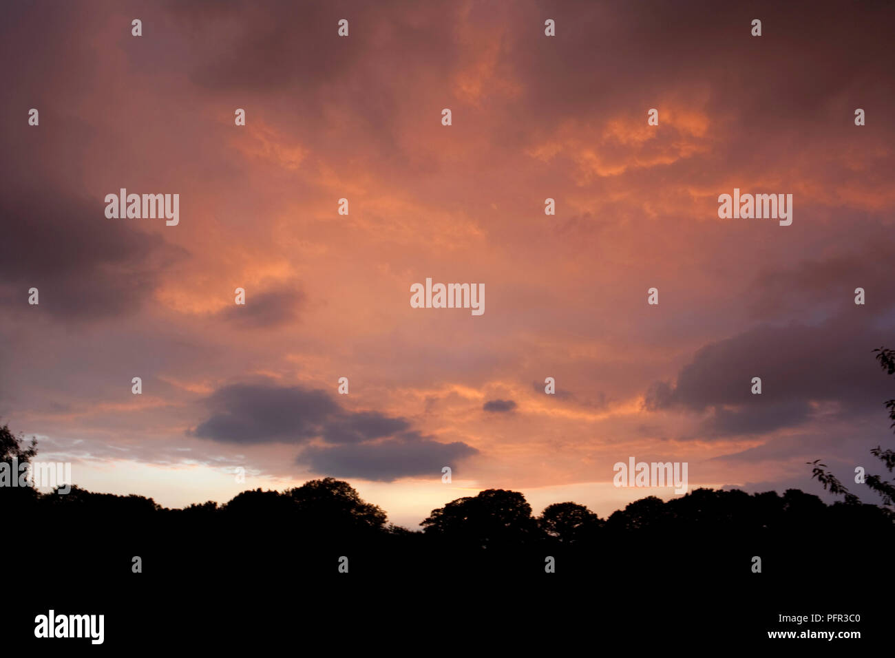 Dramatic sky above trees, England Stock Photo - Alamy