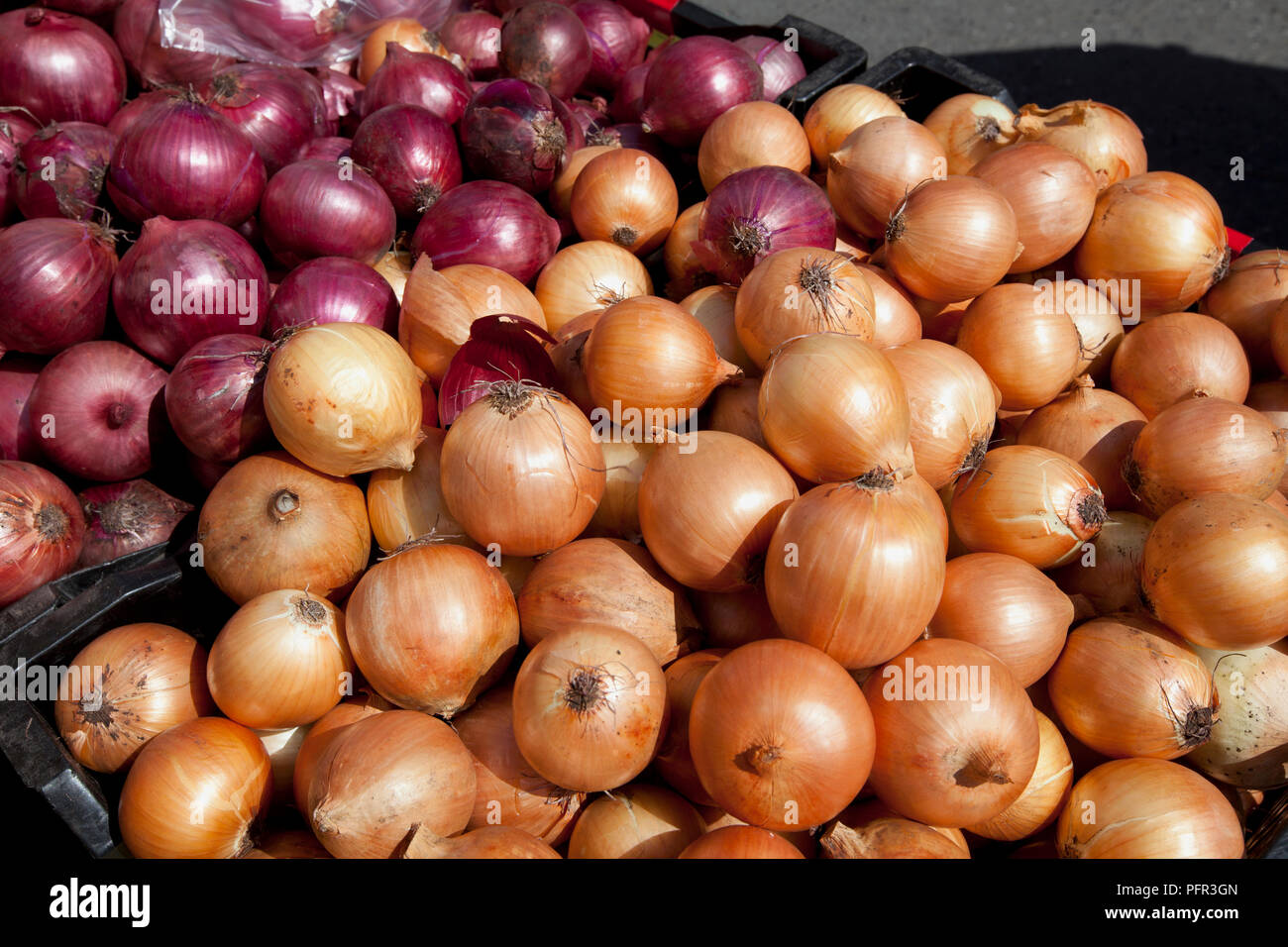 Heap of onions for sale at Union Square Greenmarket, Manhattan, close ...