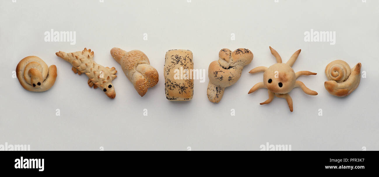 Seven bread rolls made into different creatures Stock Photo - Alamy