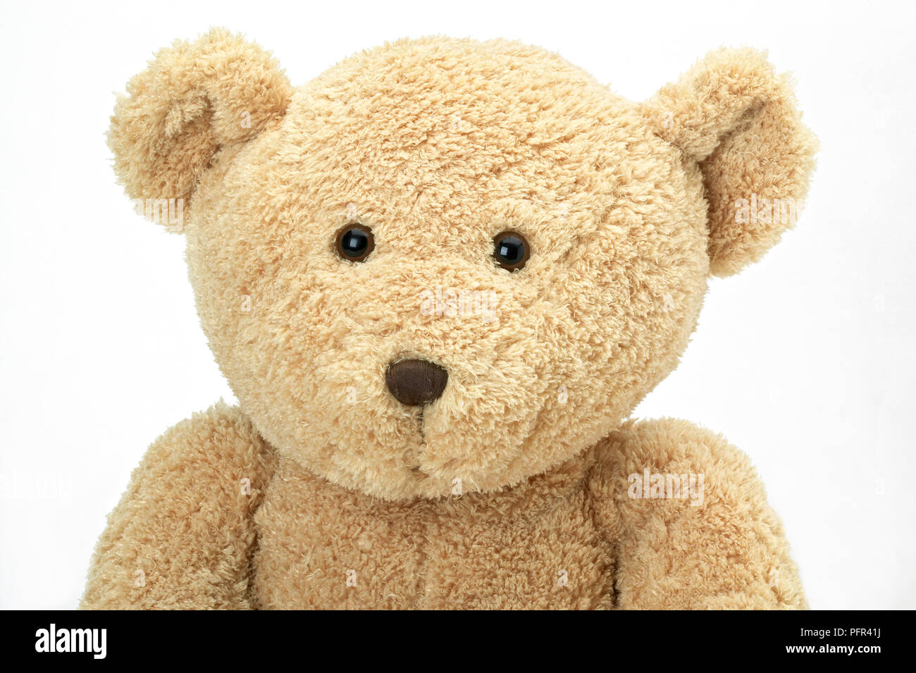 Head of teddy bear, front view Stock Photo - Alamy