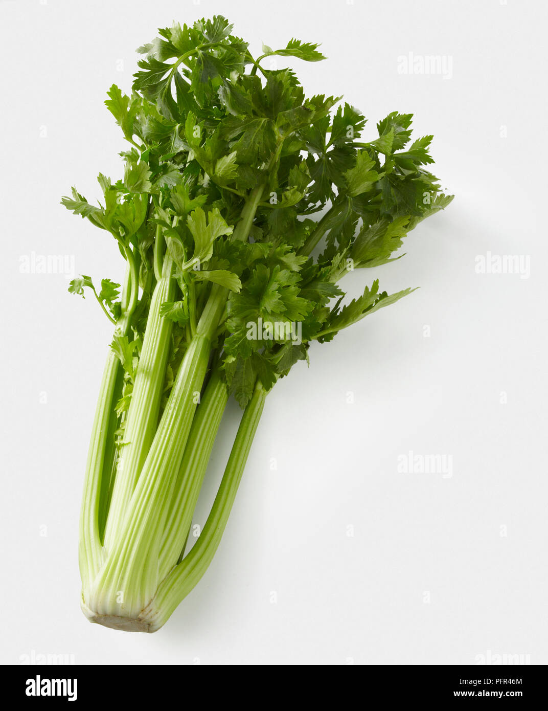 Celery hi-res stock photography and images - Alamy