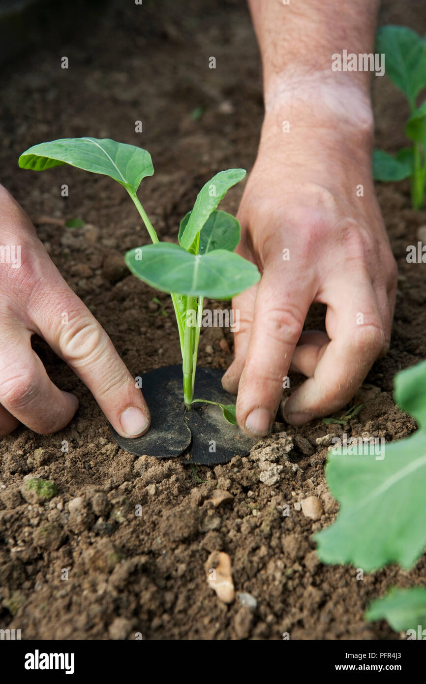Fitting soil hi-res stock photography and images - Alamy