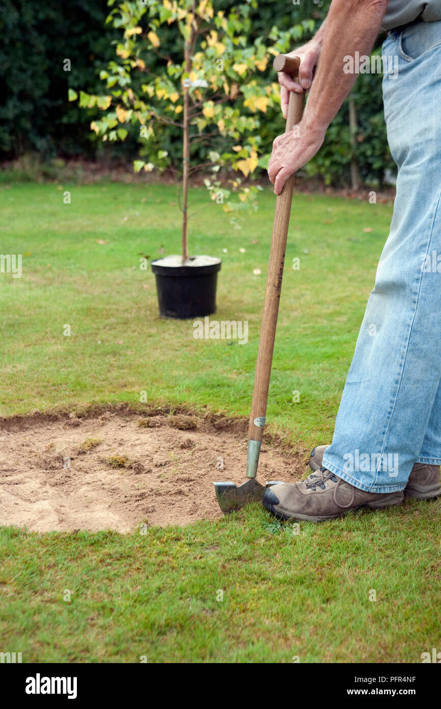 Preparing planting hole hi-res stock photography and images - Alamy