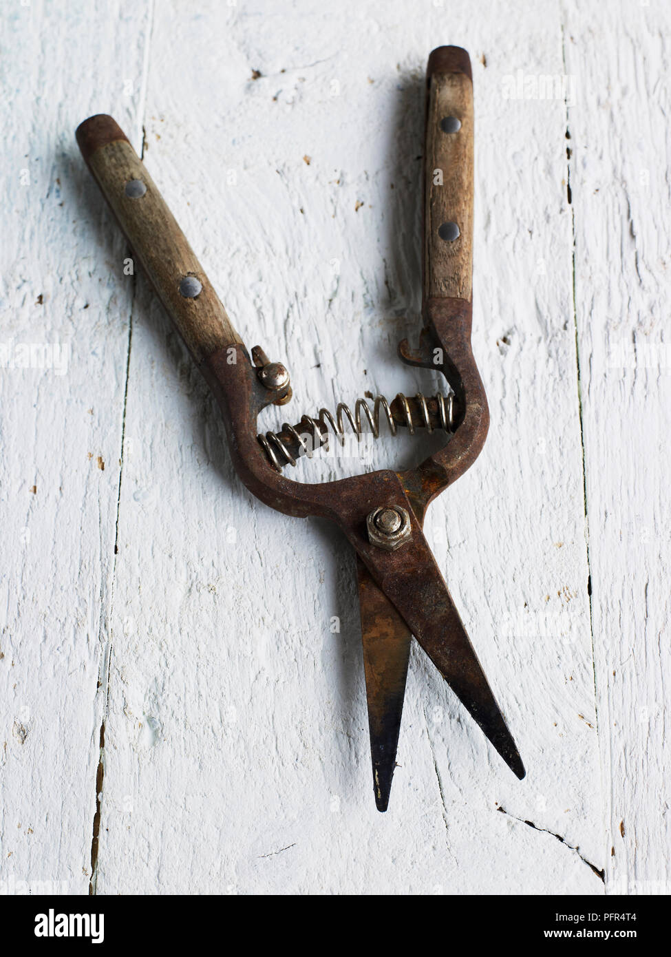 Rusty old secateurs hi-res stock photography and images - Alamy