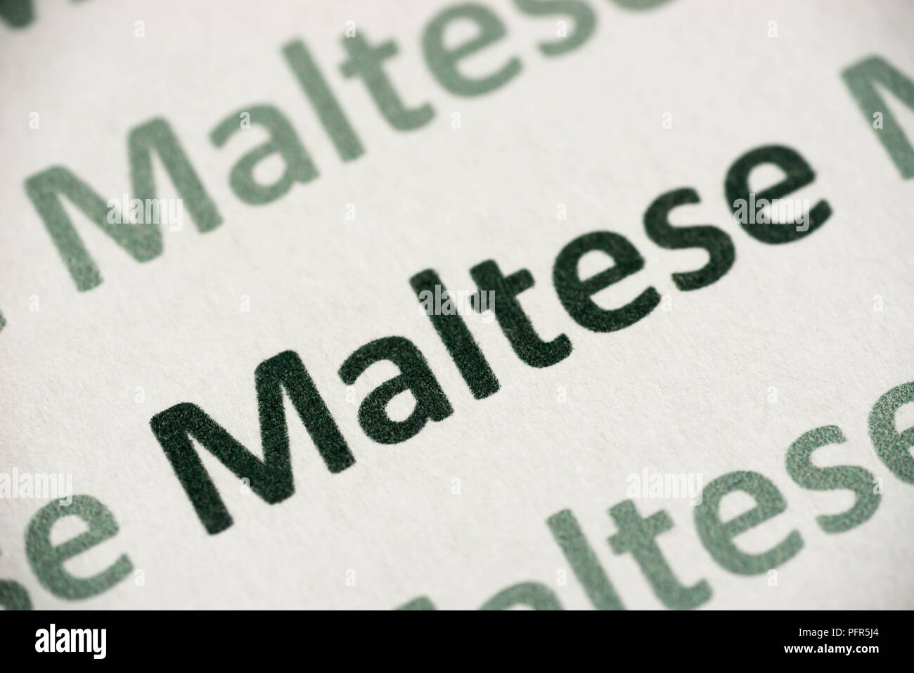 word Maltese language printed on white paper macro Stock Photo - Alamy