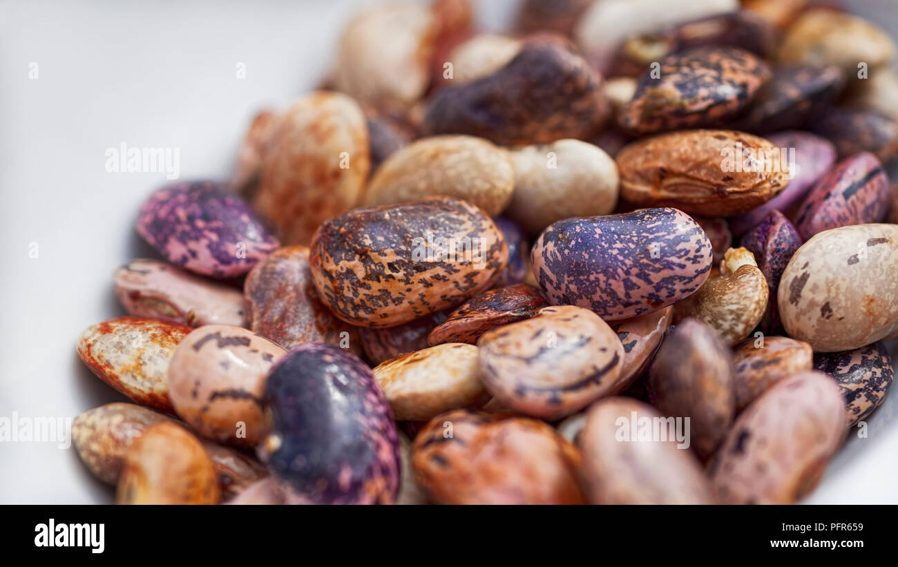 Pinto bean agriculture hi-res stock photography and images - Alamy