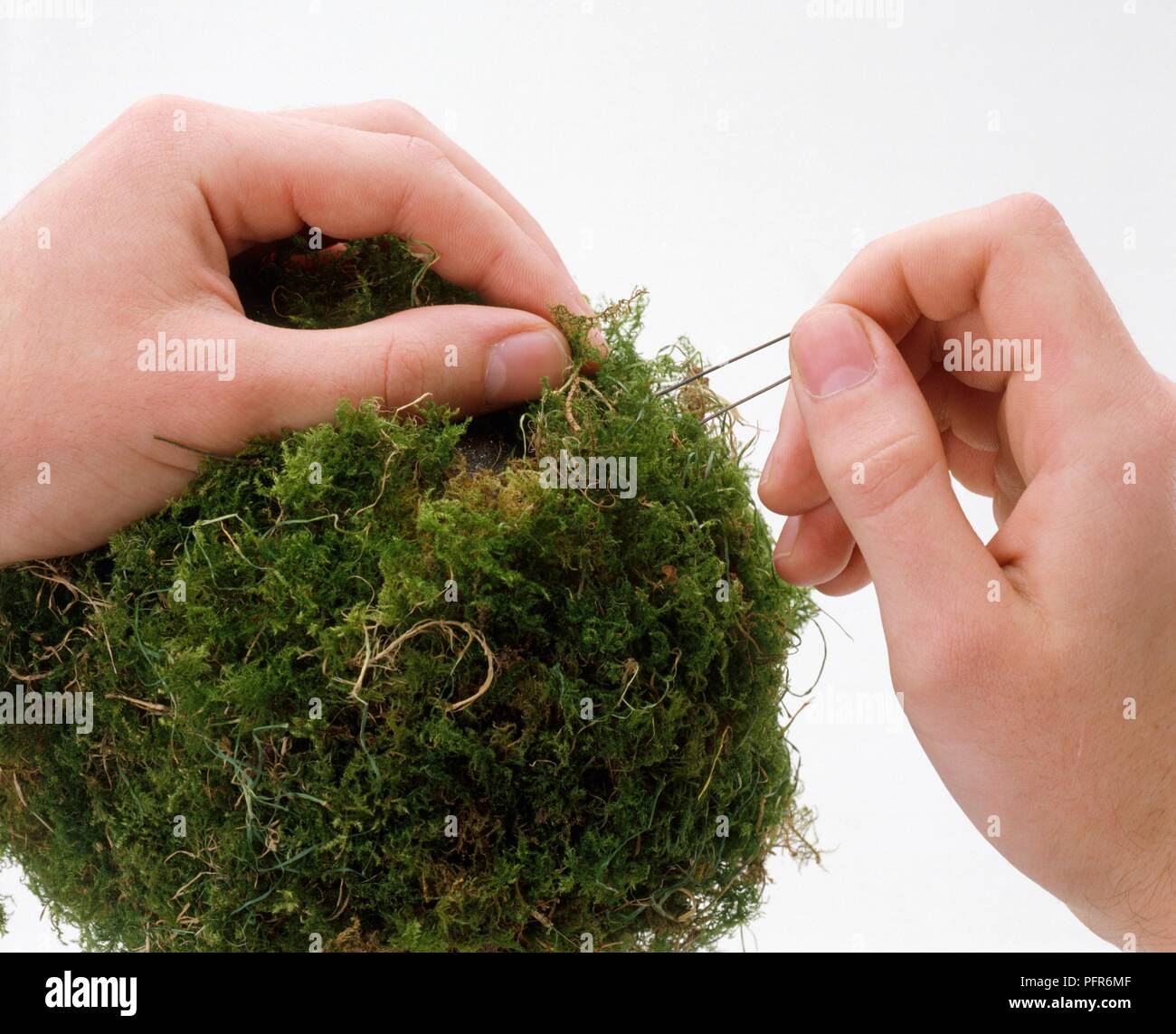 Sticking pins in hi-res stock photography and images - Alamy