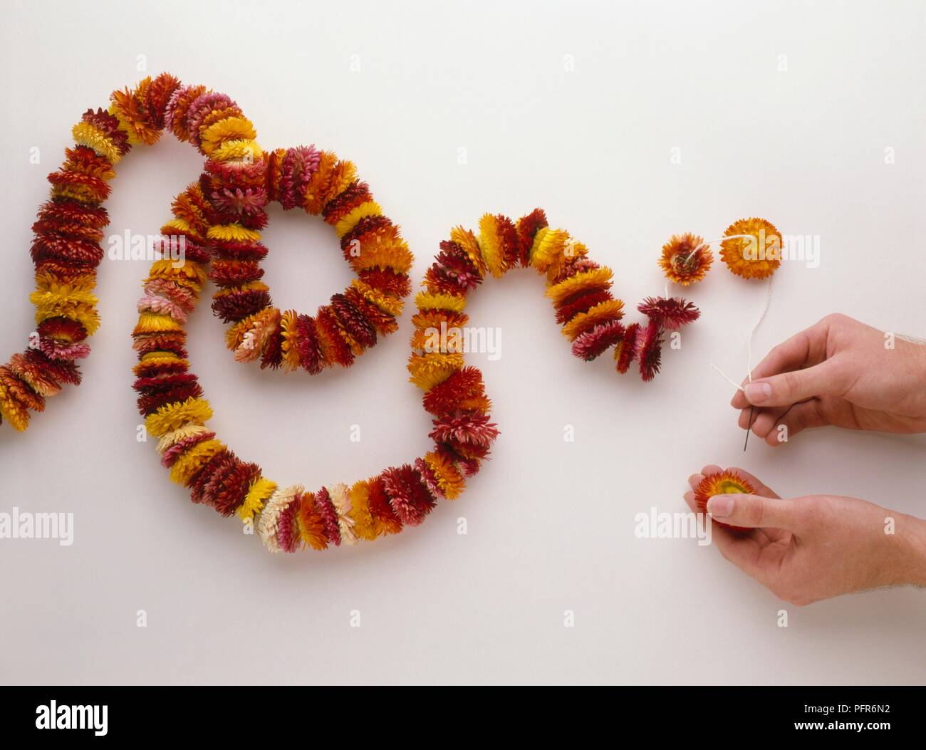 Garland threading hi-res stock photography and images - Alamy