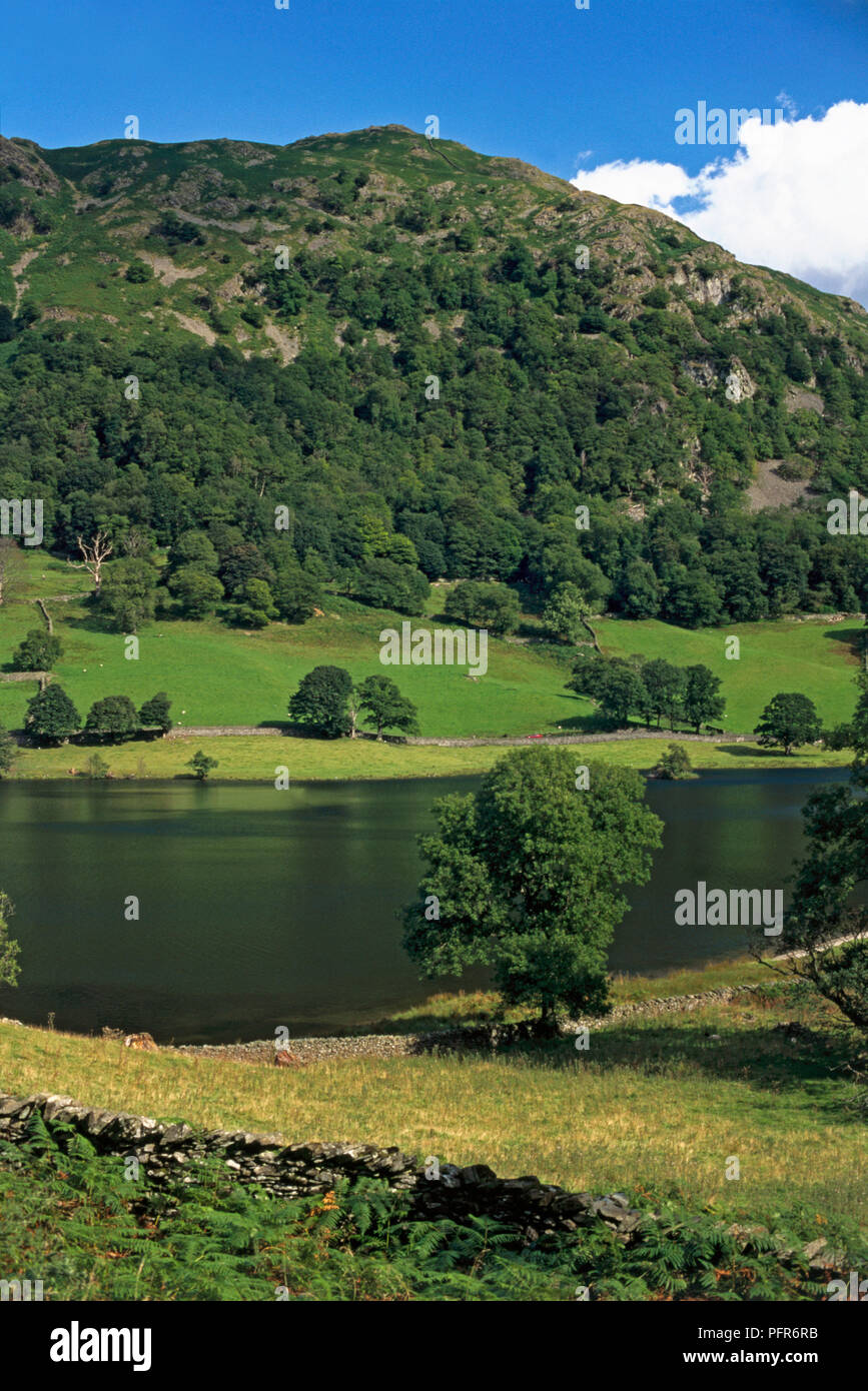 England, Cumbria, Rydal Water in Lake District with blue sky and white ...