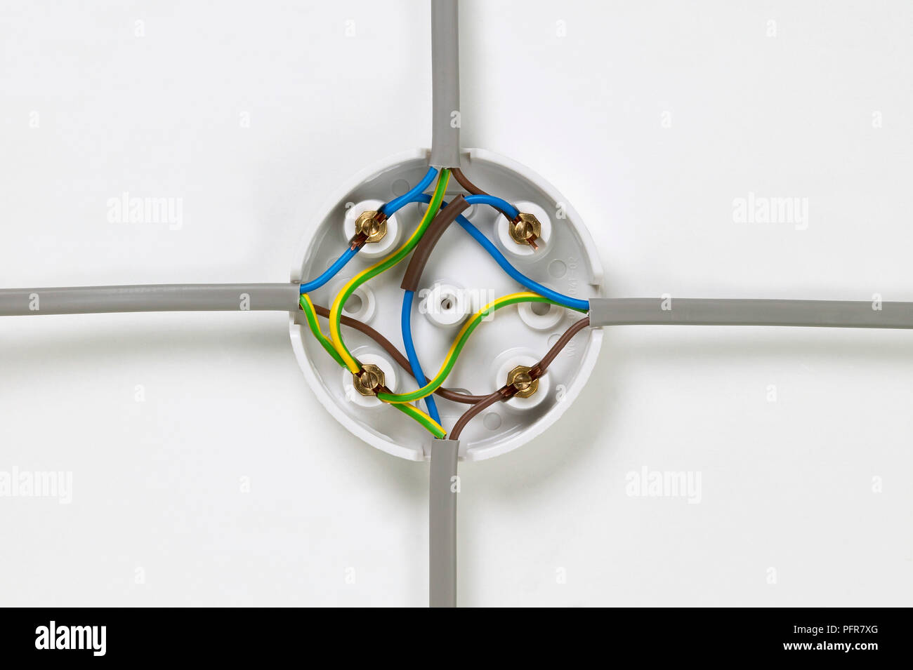 Electrical spur hi-res stock photography and images - Alamy