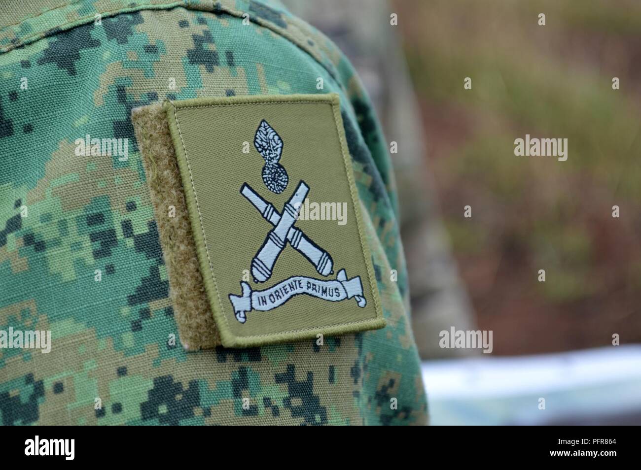 An artillery insignia worn by a Singapore Army Soldier during a Tiger ...