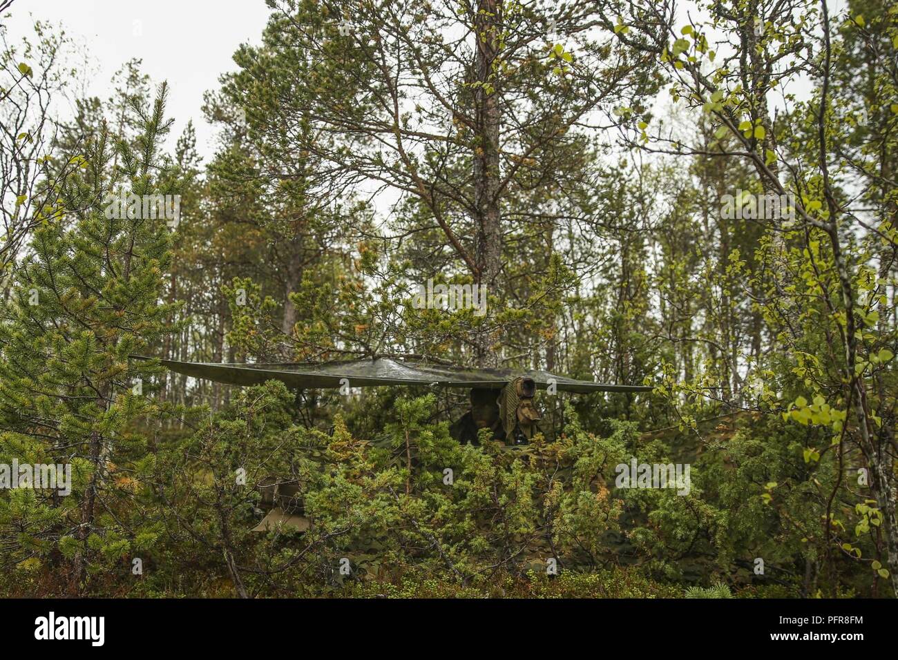 Norwegian coastal ranger hi-res stock photography and images - Alamy