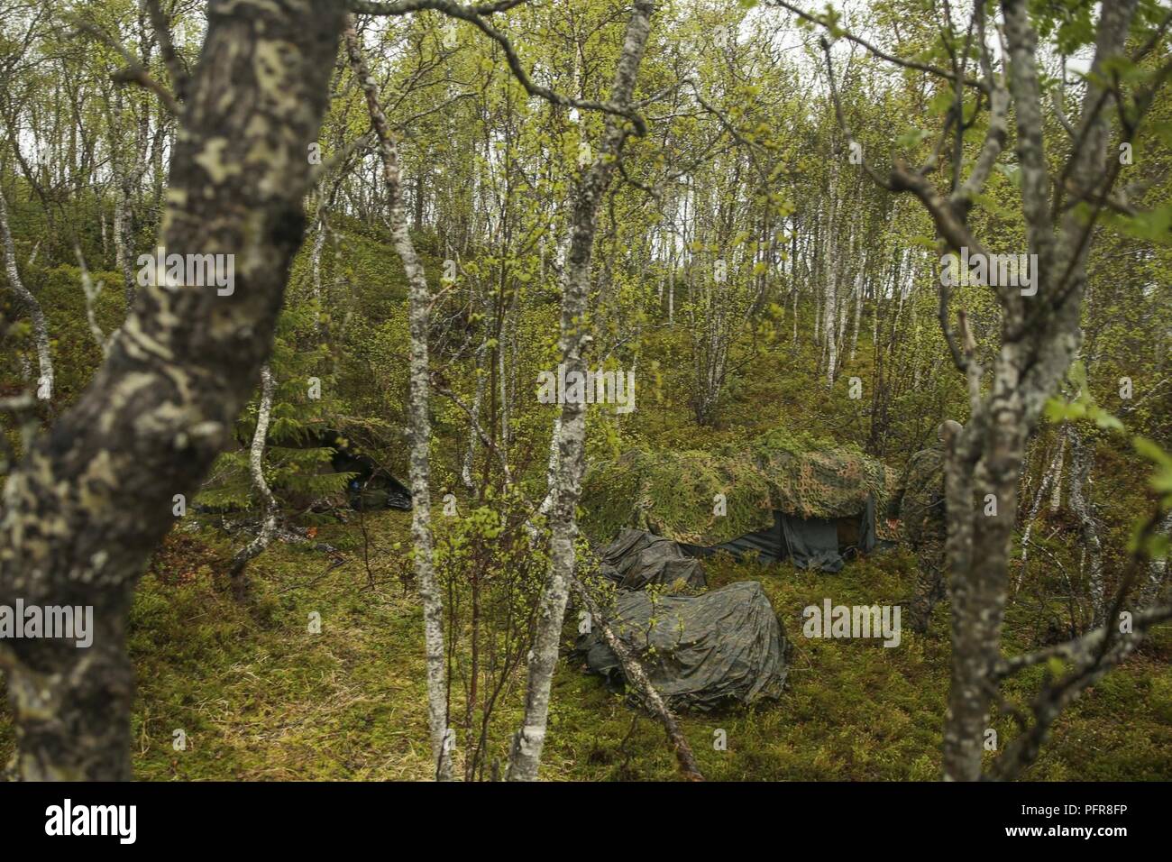 U.S. Marines with 1st Platoon, 1st Reconnaissance Battalion, 1st Marine ...