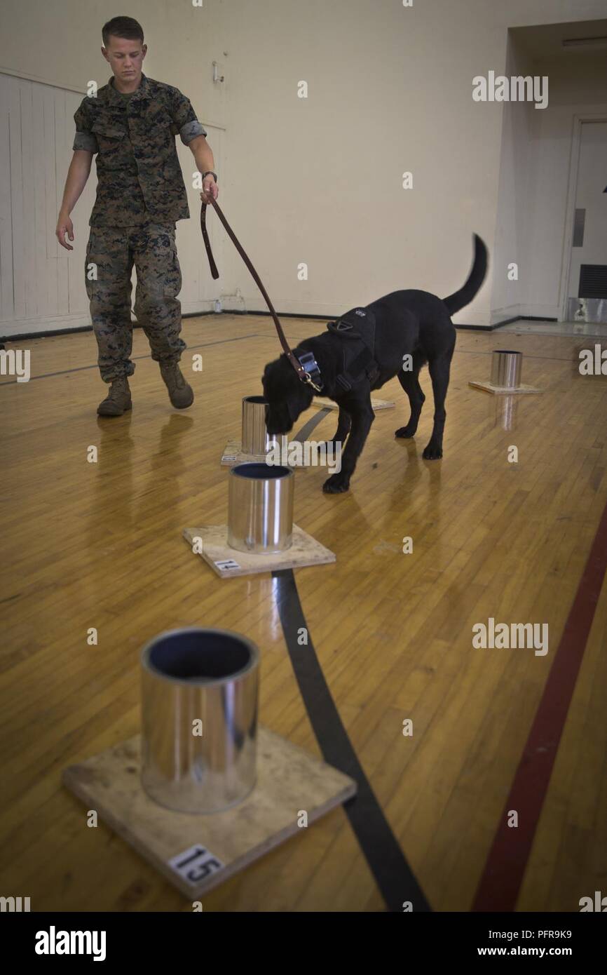 Sgt. Michael Bak, military police officer, 1st Law Enforcement ...