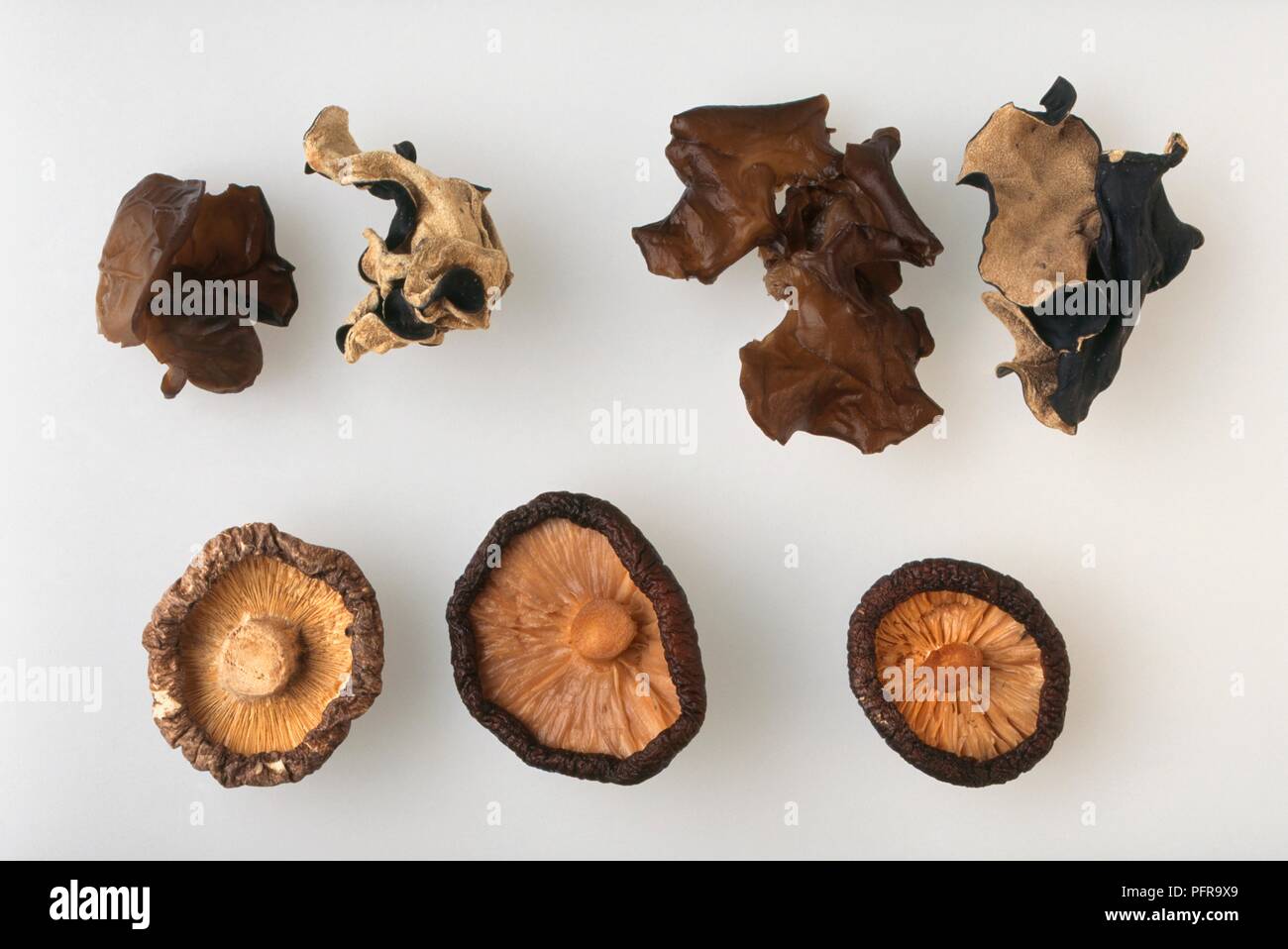 Dried and rehydrated shiitake musrooms Stock Photo - Alamy