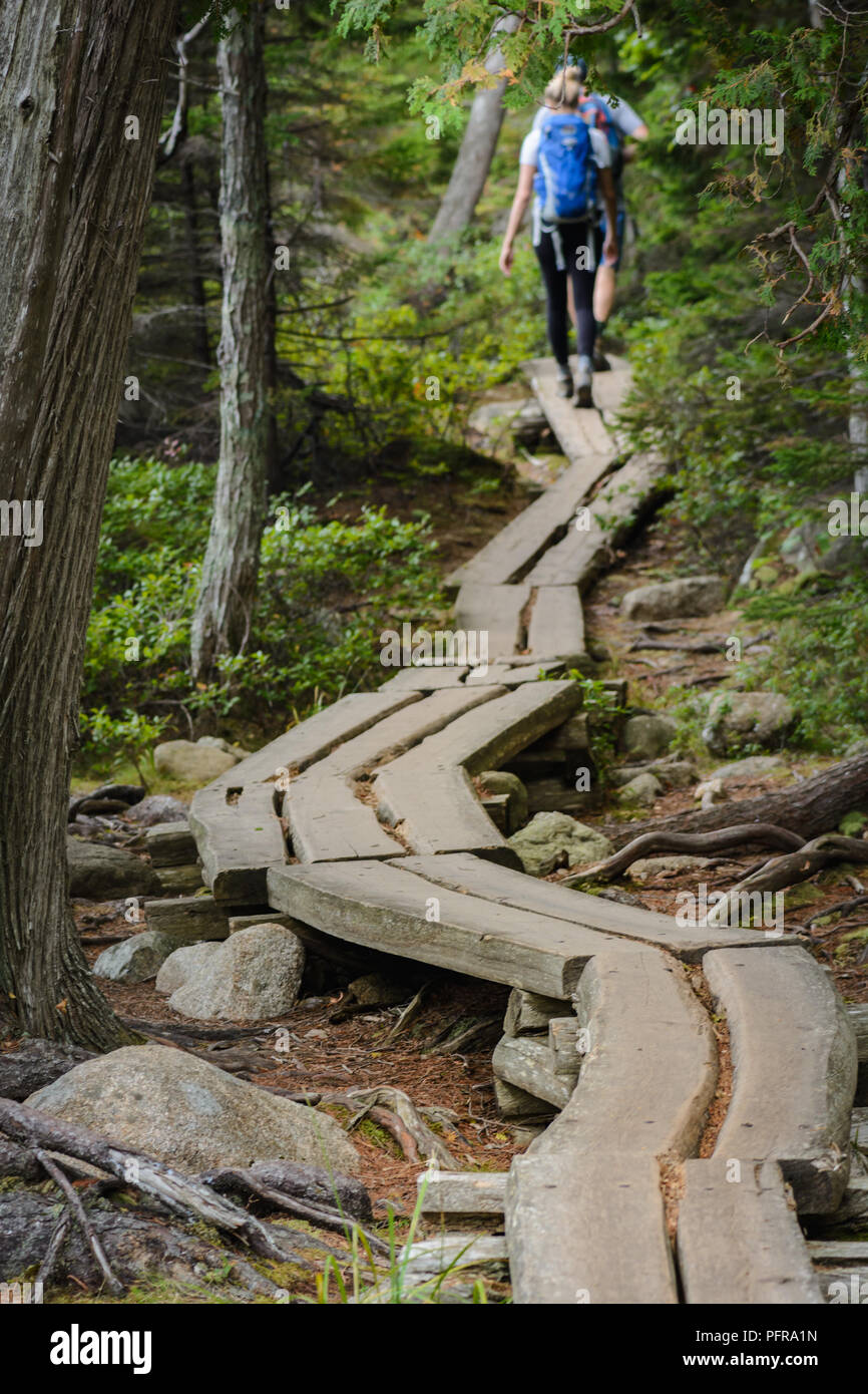 Young couple hiking on an split log board walk along Jordan Pond Stock ...