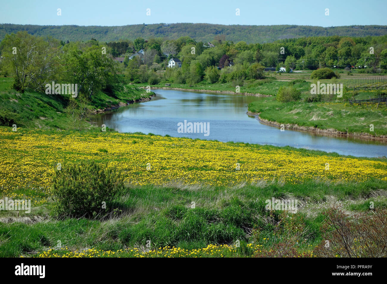 Annapolis river hi-res stock photography and images - Alamy