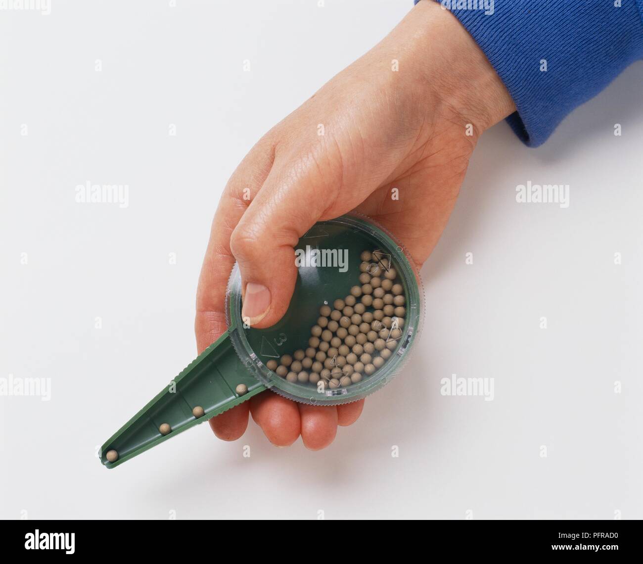 Seeds inside hand-held sower Stock Photo - Alamy