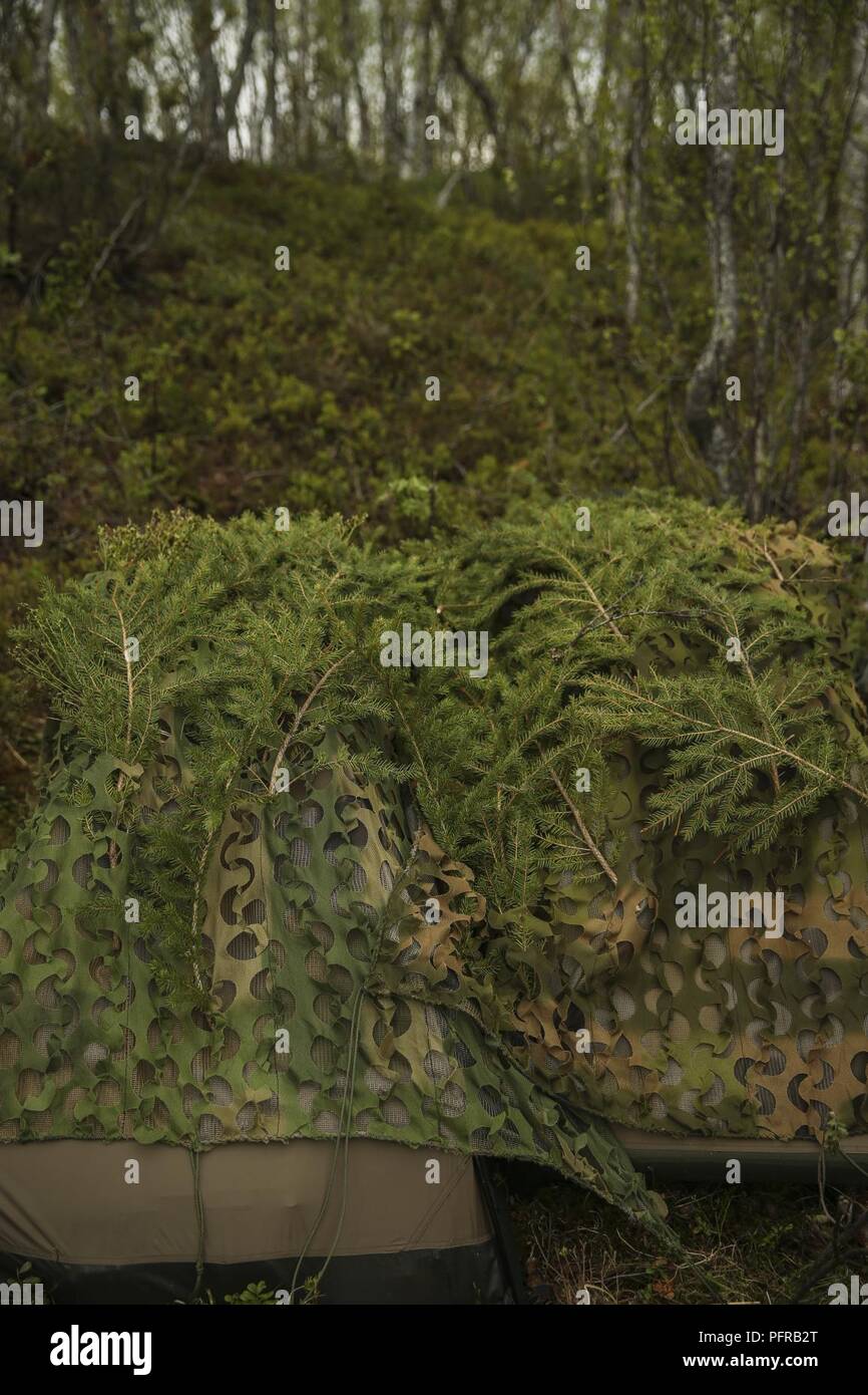 Coastal ranger commandos hi-res stock photography and images - Alamy