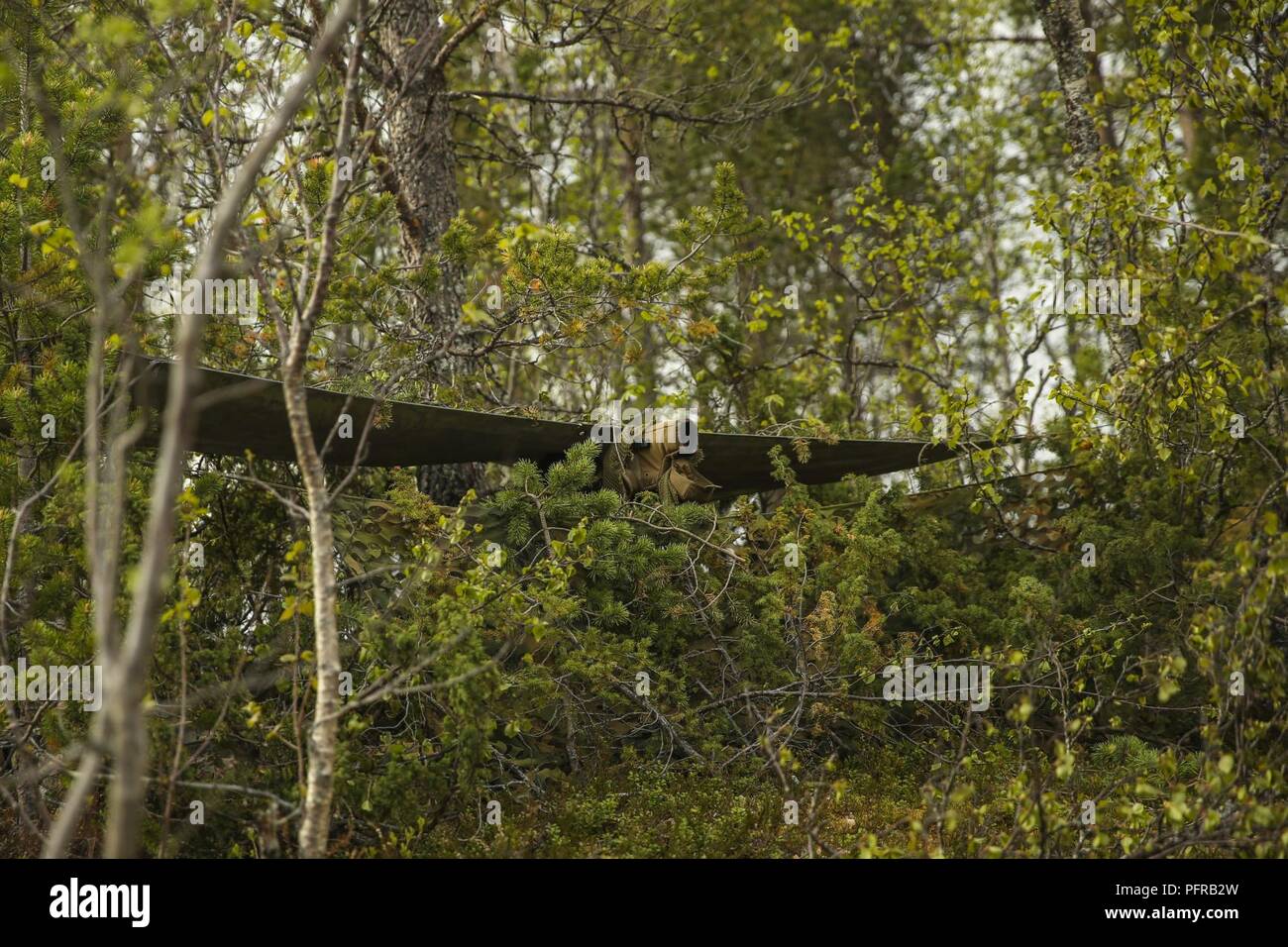 Norwegian coastal ranger hi-res stock photography and images - Alamy