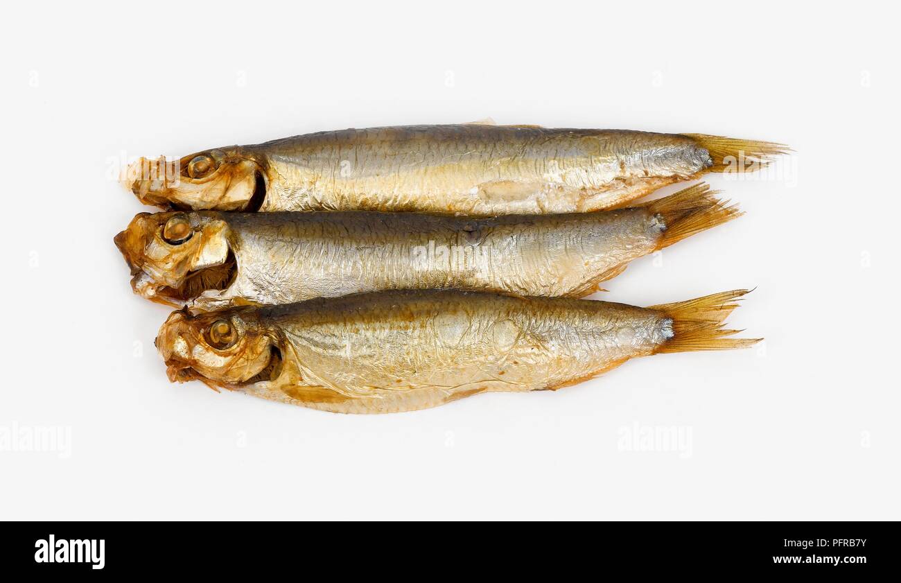 Sprat fish cut out hi-res stock photography and images - Alamy