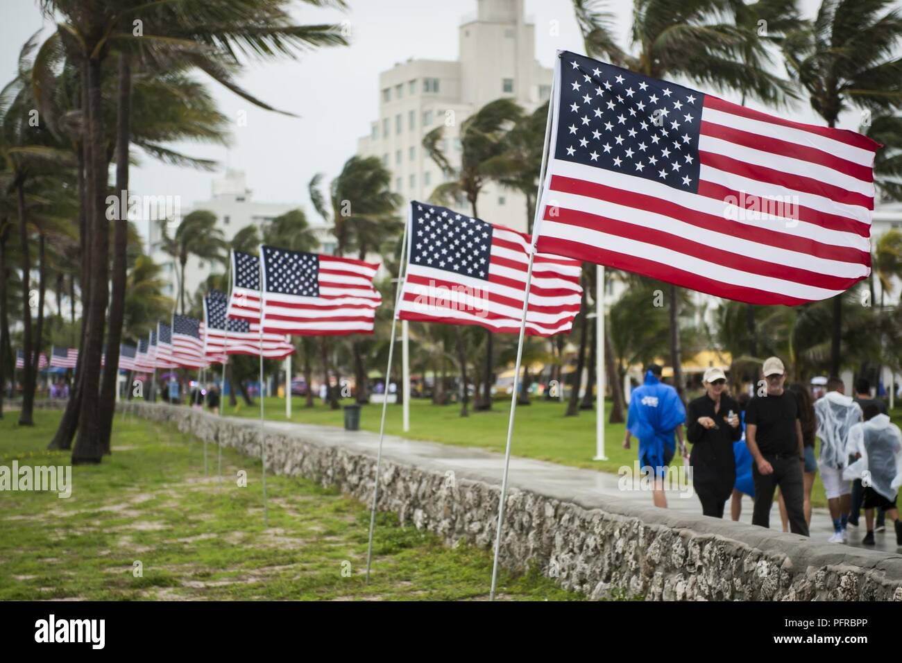 American flags are displayed along Miami Beach, Florda on May 26th ...