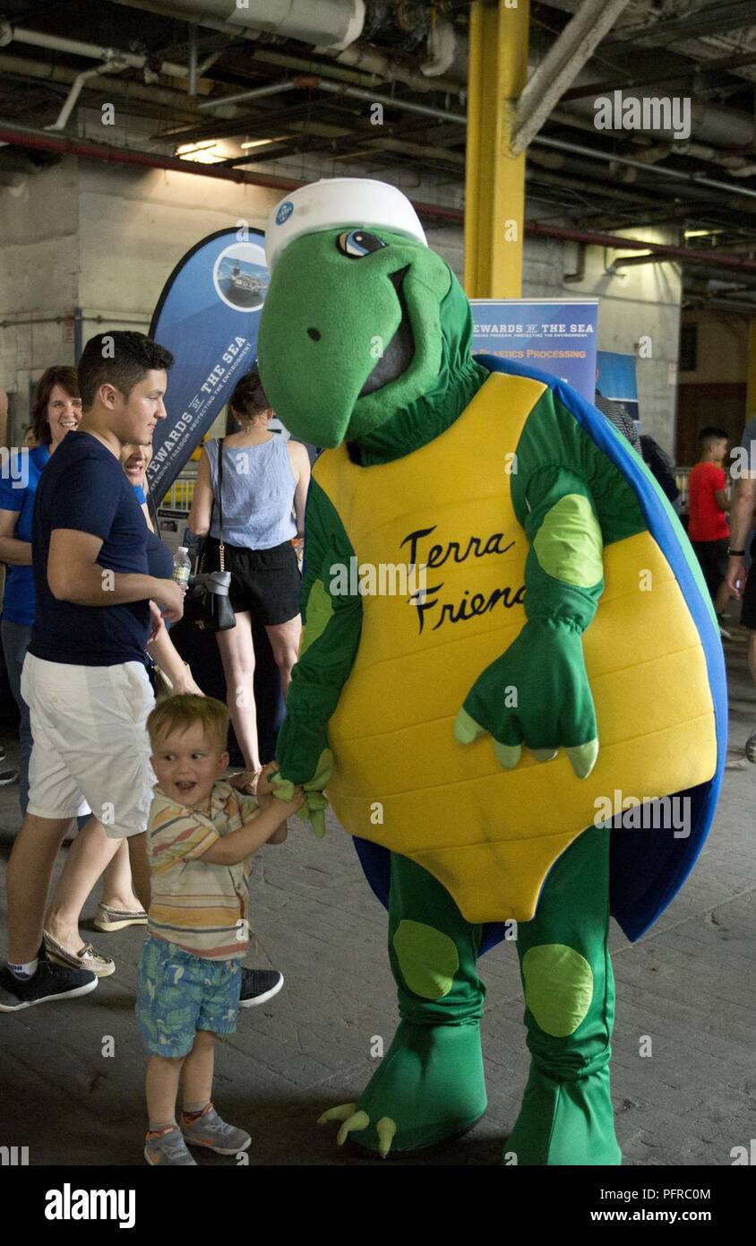 NEW YORK (May 25, 2018) Stewie, the U.S. Navy’s environmental turtle ...