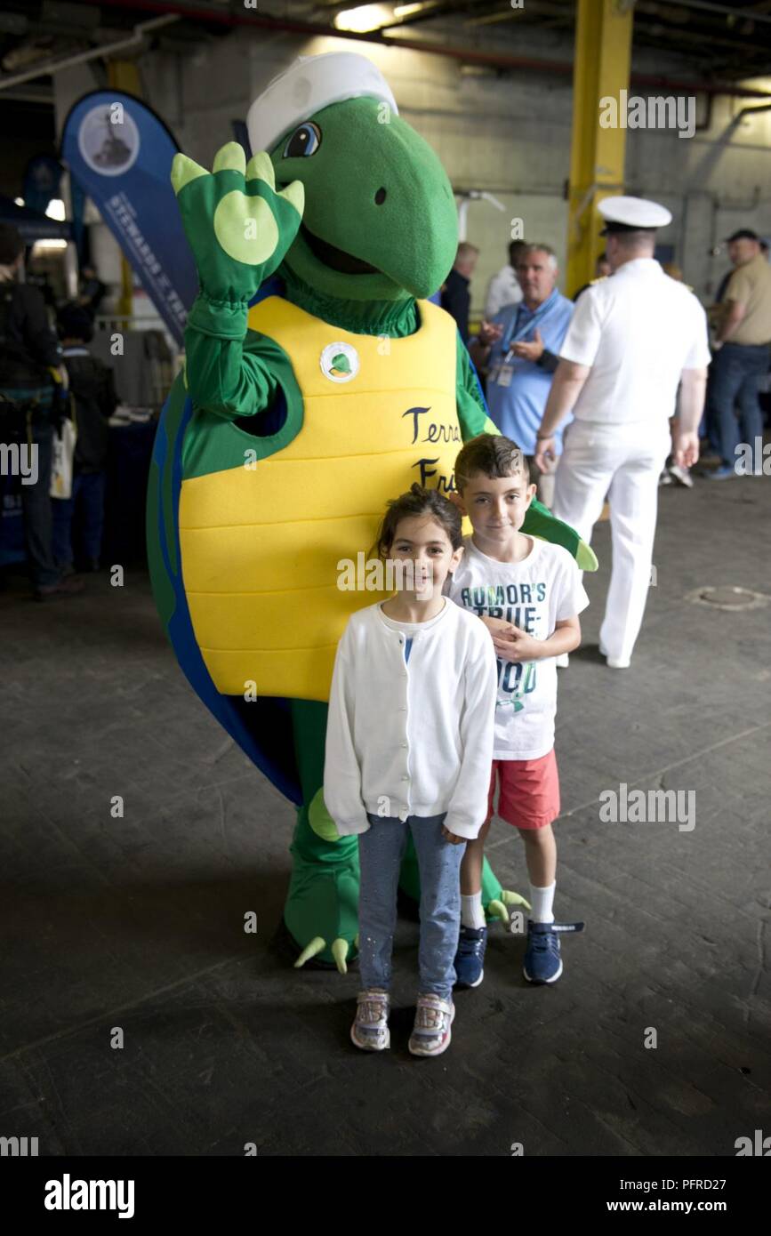 NEW YORK (May 27, 2018) Stewie, the U.S. Navy’s environmental turtle ...