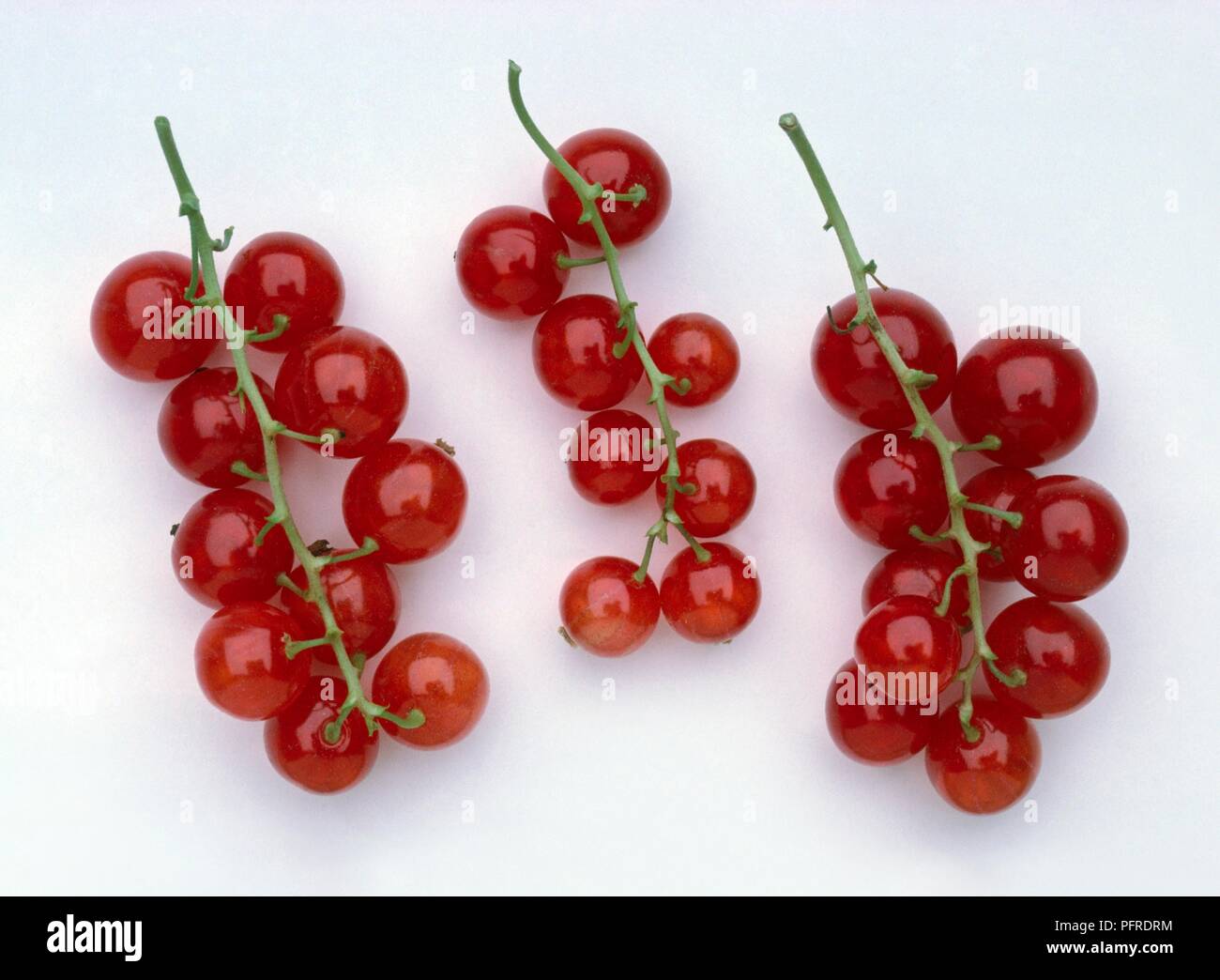 Ribes rubrum l hi-res stock photography and images - Alamy