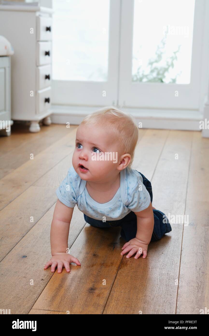 Baby boy crawling on wooden floor, front view Stock Photo - Alamy