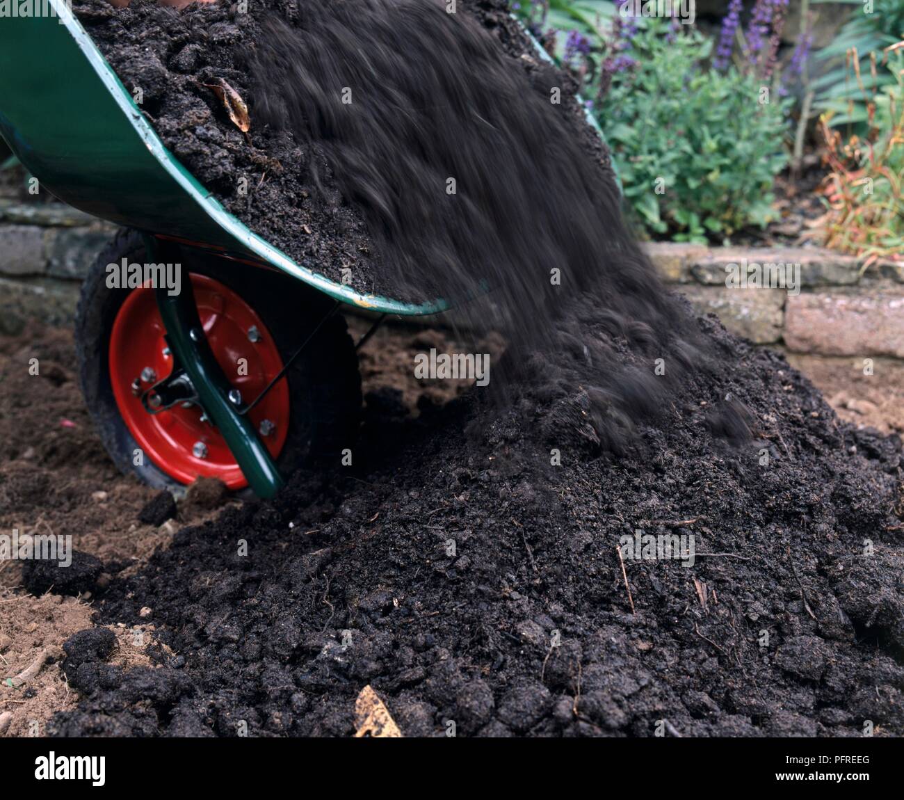Tipping compost from wheelbarrow, close-up Stock Photo - Alamy