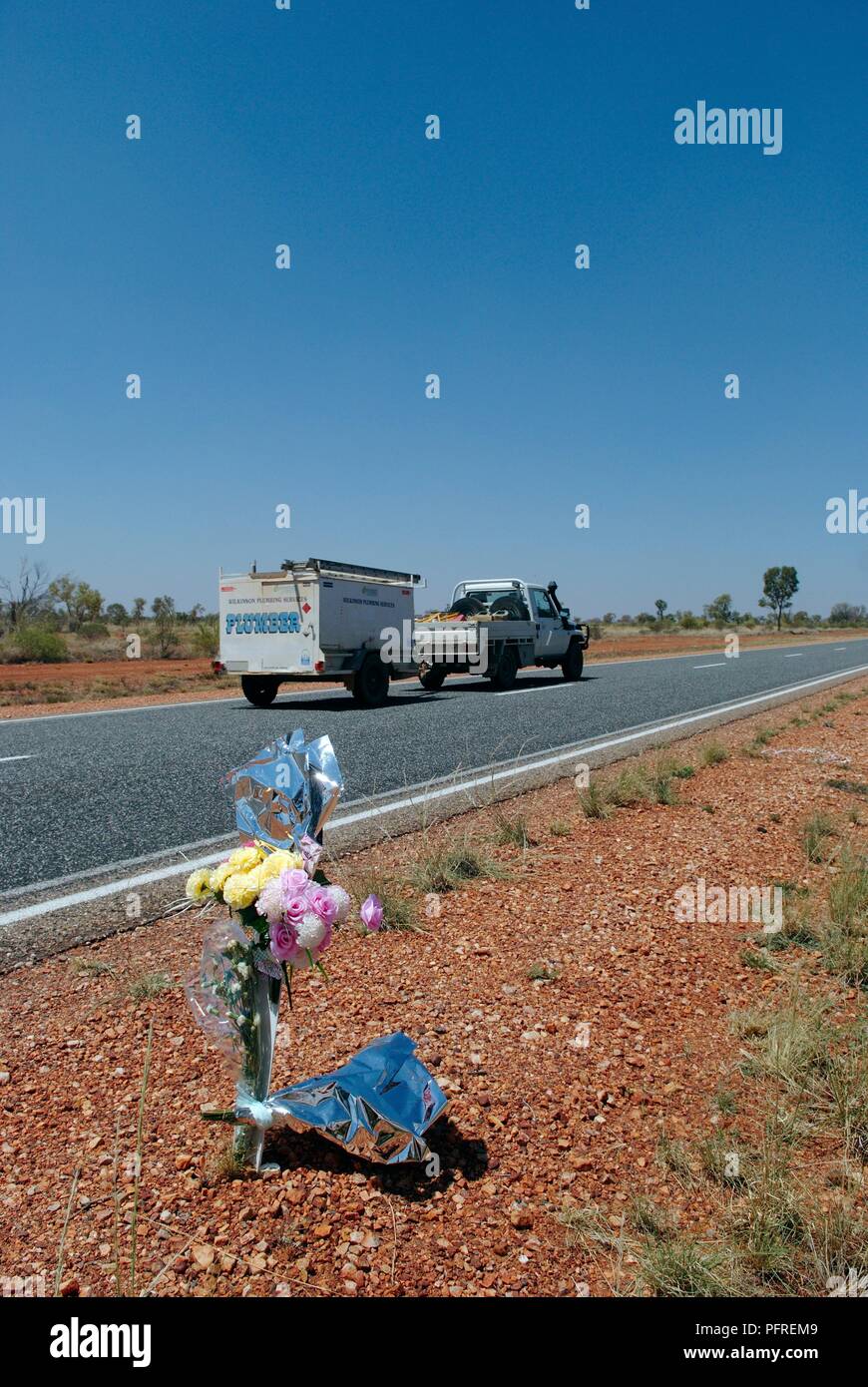 Australia, view of flowers on roadside, pick-up truck driving past ...