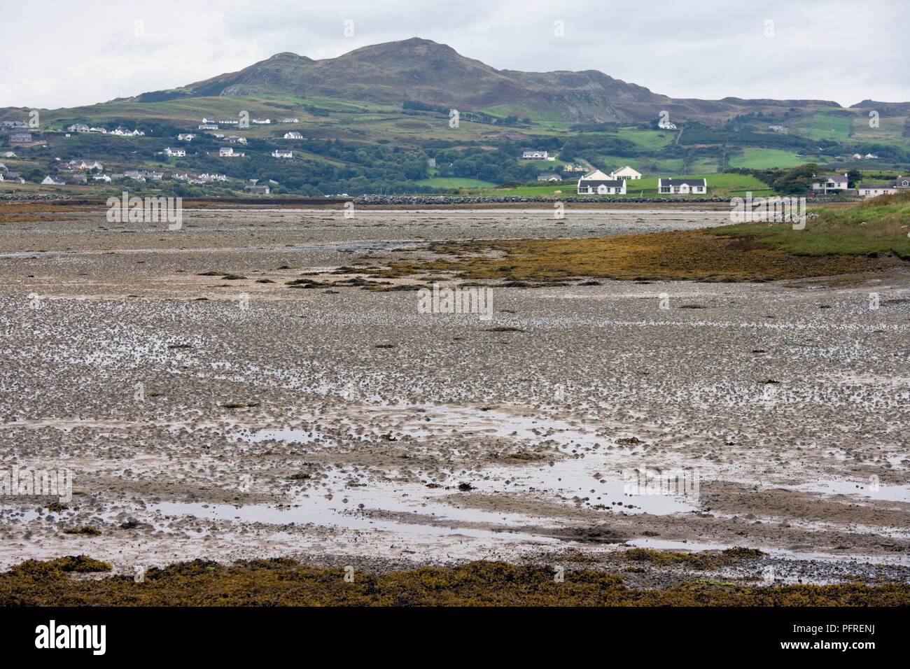 Ireland, County Donegal, Fanad Peninsula, Carrigart, bay at low tide ...