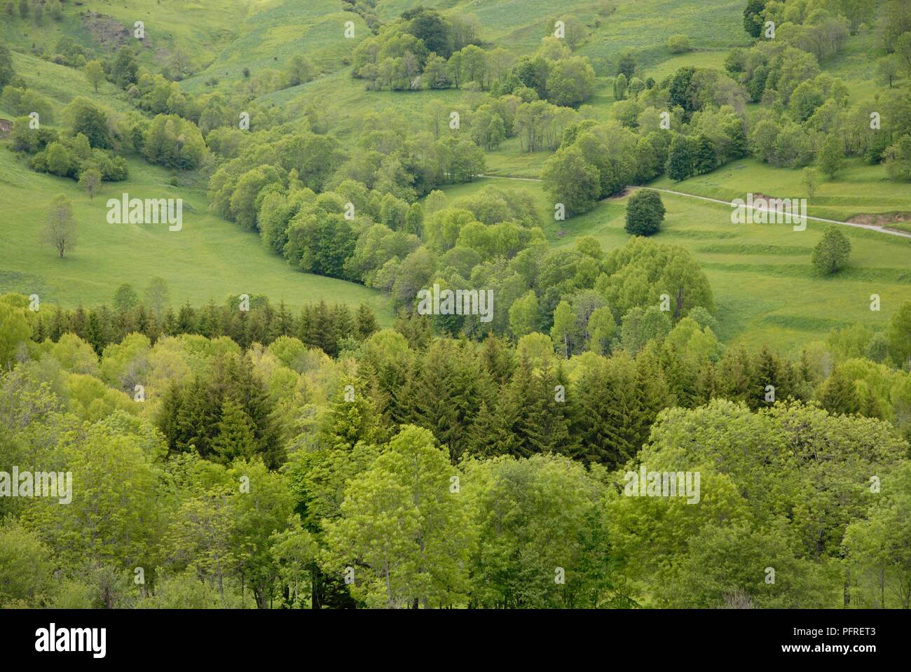 France, Pyrenees, Col de Peyresourde, lush undulating landscape Stock ...