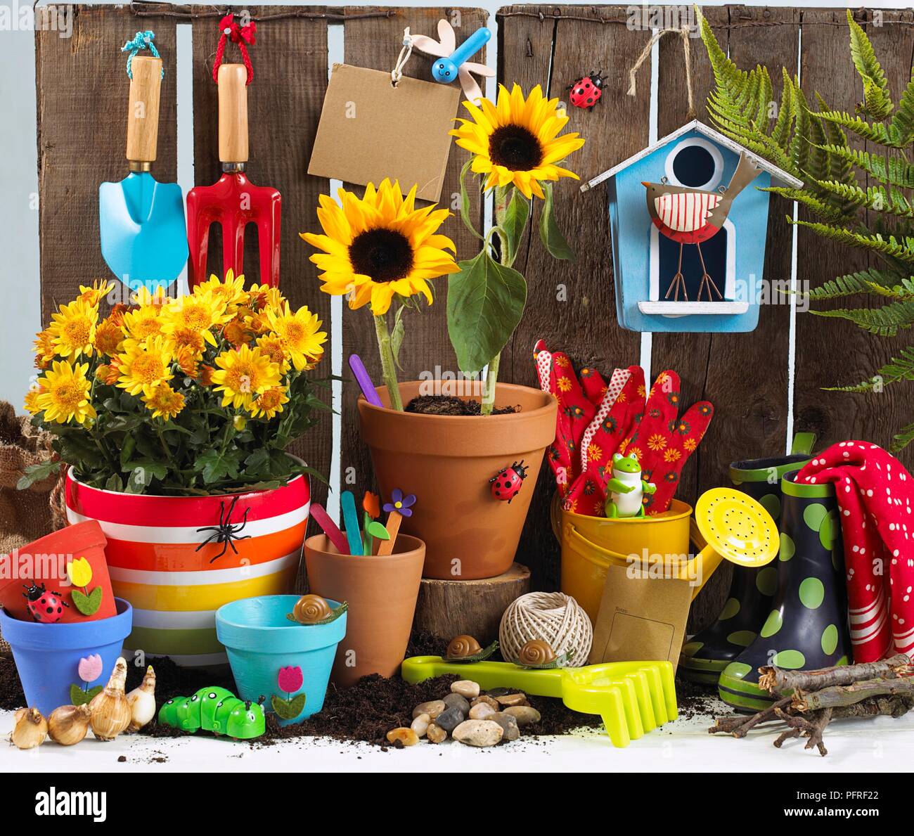 Colourful items hi-res stock photography and images - Alamy