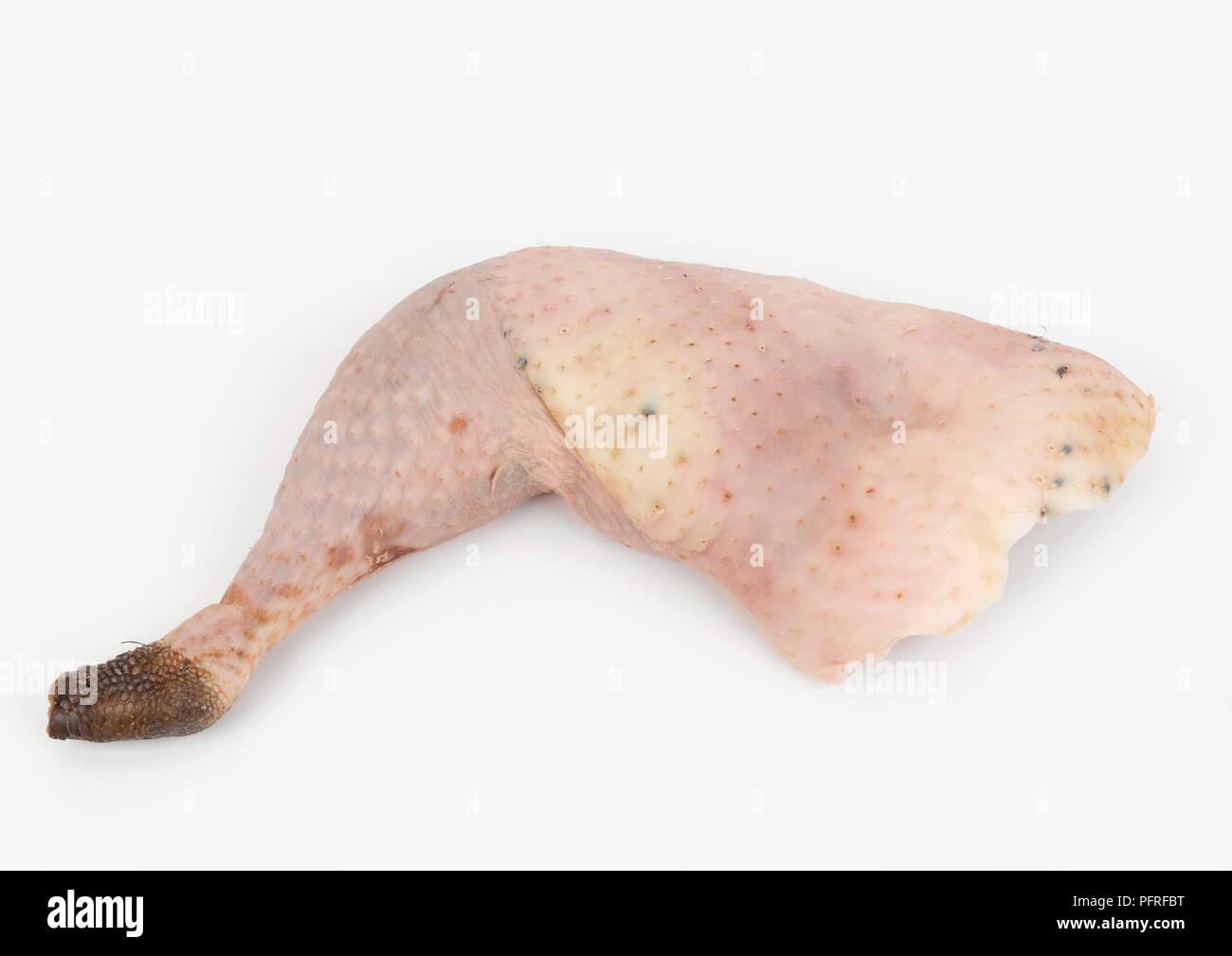 Jointed leg Cut Out Stock Images & Pictures - Alamy