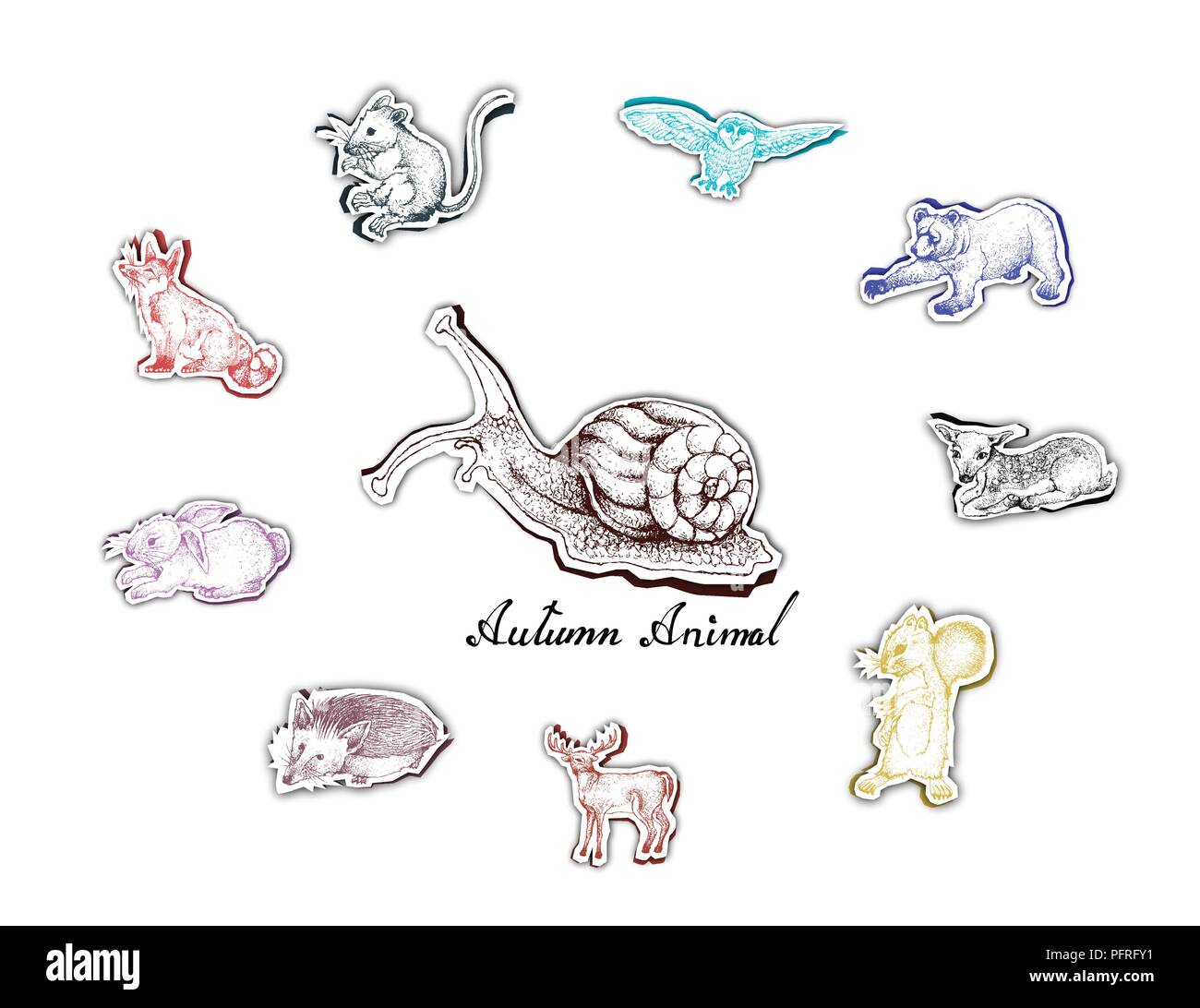 Furze pig Stock Vector Images - Alamy