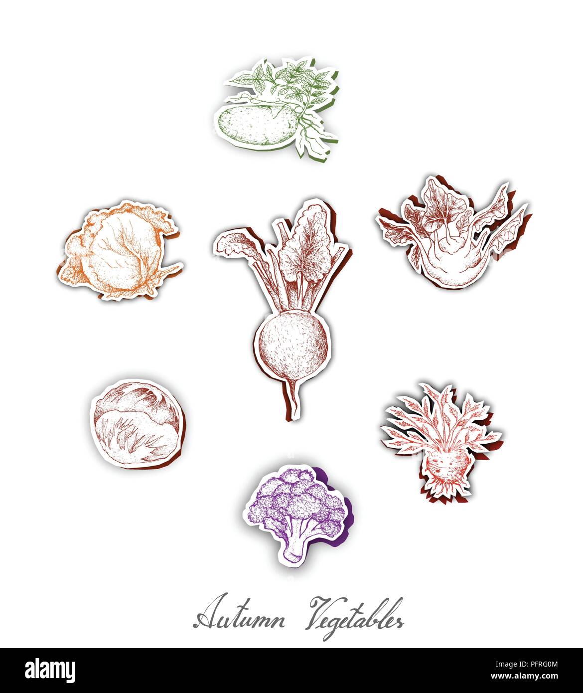 Autumn Vegetables, Set of Hand Drawn Sketch of Assorted Vegetables are ...