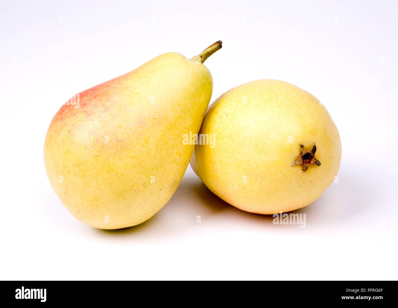 Rounded bottom hi-res stock photography and images - Alamy