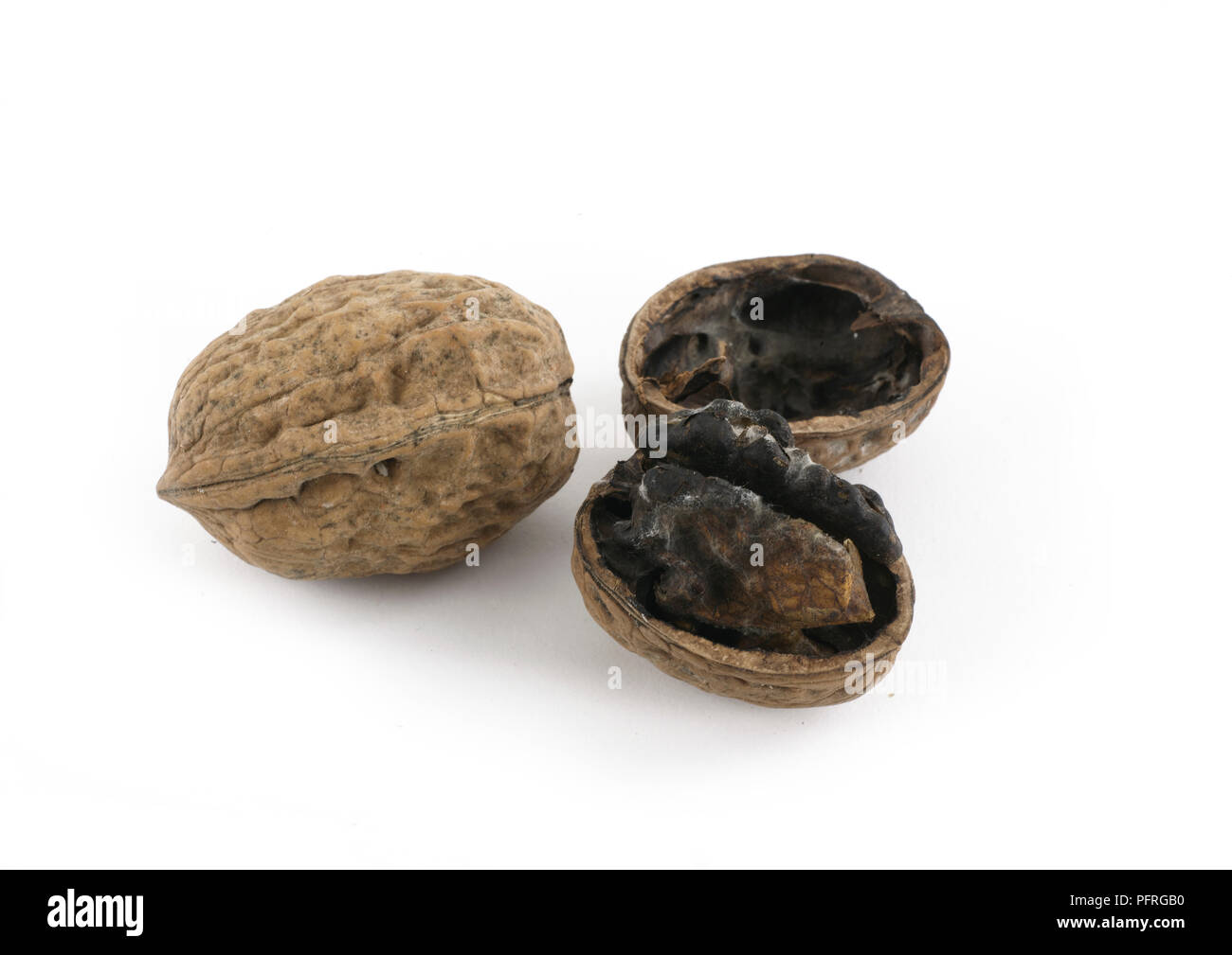 Rotten walnut hi-res stock photography and images - Alamy