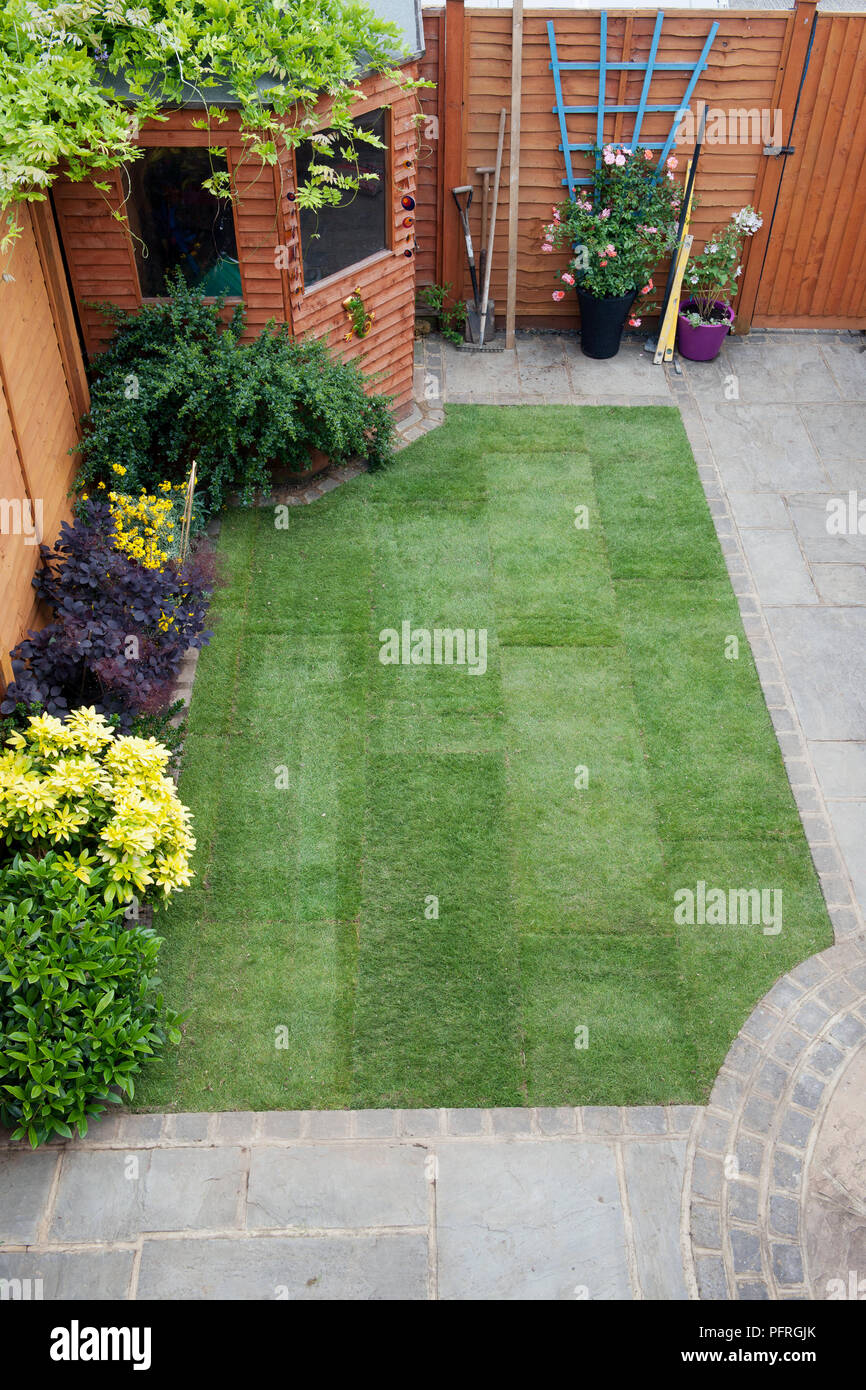 Shrubs in a border hi-res stock photography and images - Alamy